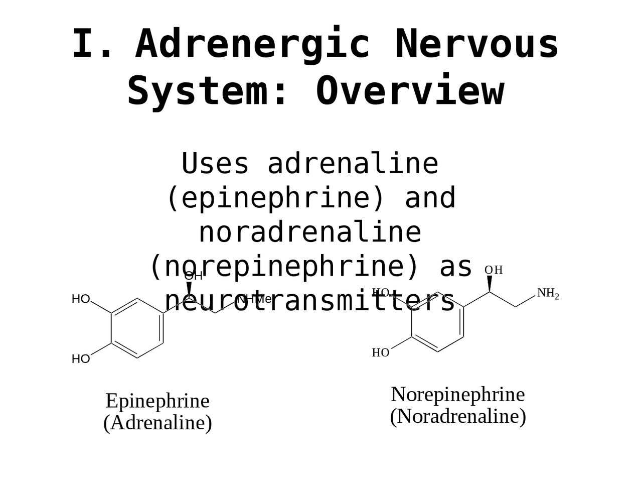 Adrenergic System Anotações de aula - Docsity