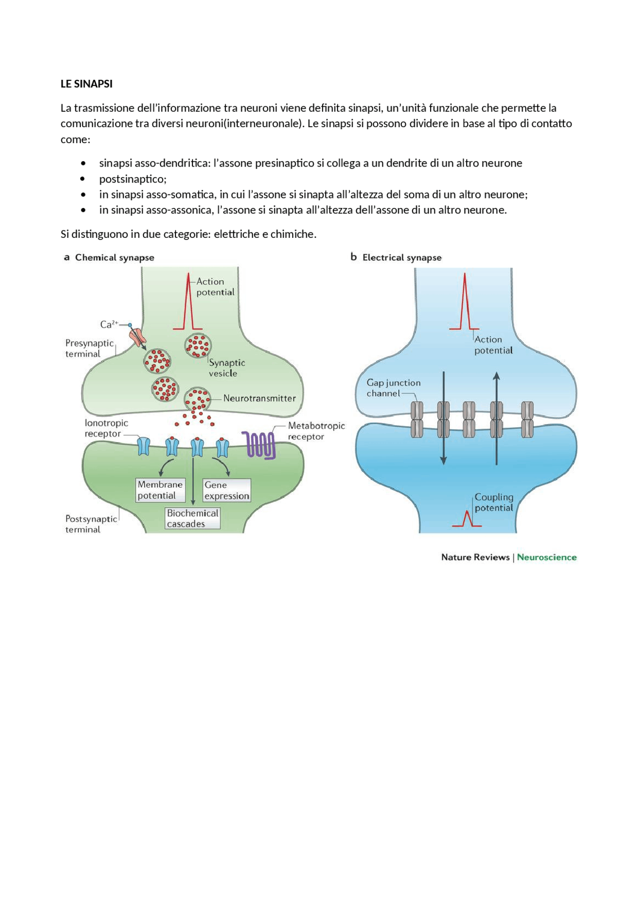 Diagramma Sinapsi