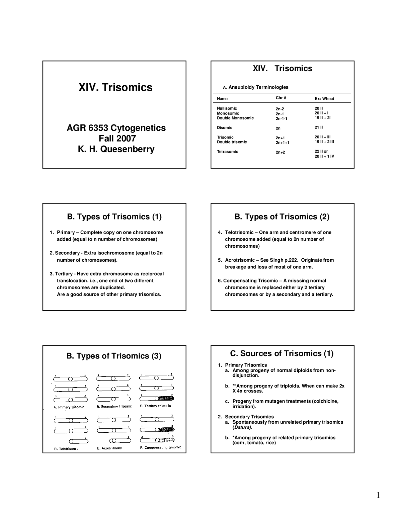 Cytogenetics: XIV. Trisomics (lecture) | AGR 6353 - Docsity