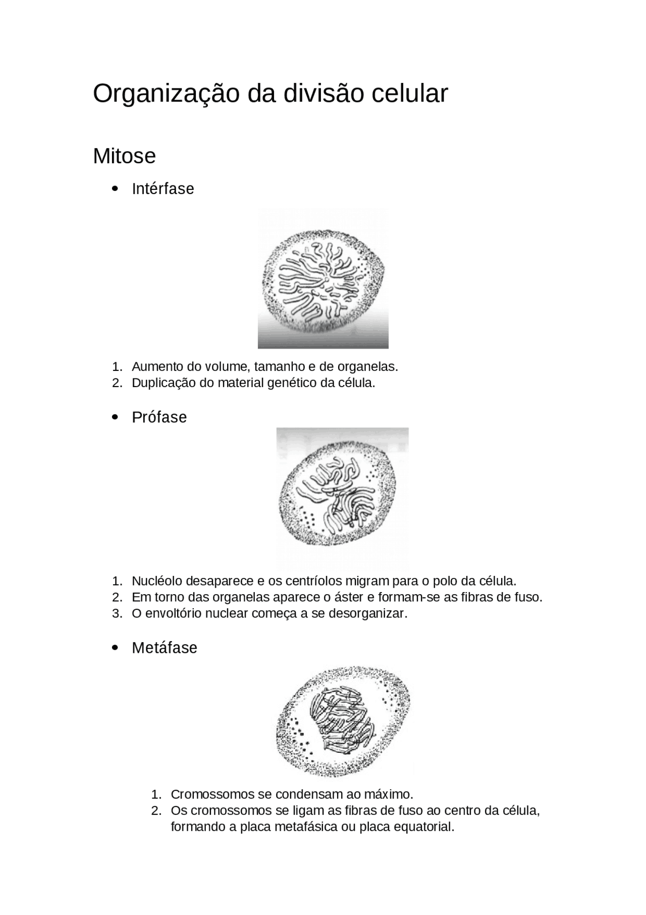 Organização Da Divisão Celular Resumo Docsity