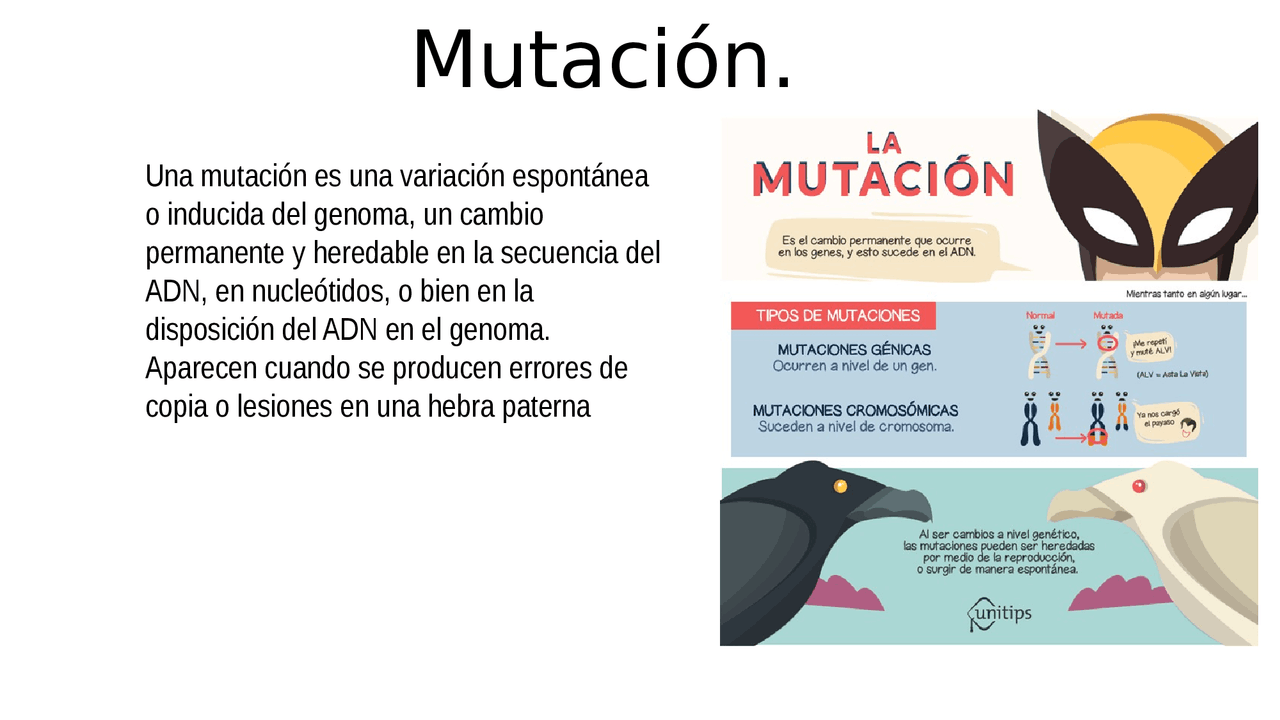 Procesos que dan lugar a la selección natural | Diapositivas de ...