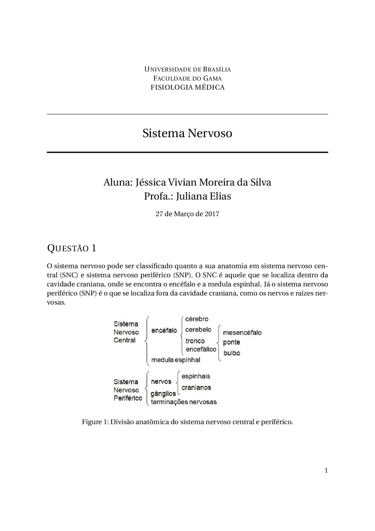 Questionário Sobre O Sistema Nervoso Docsity