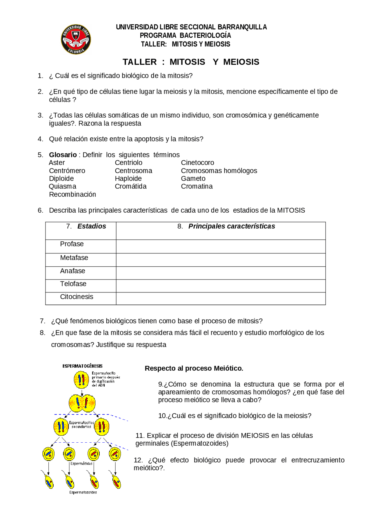 Hoja De Trabajo Comparando Mitosis Y Meiosis Con Respuestas Blink