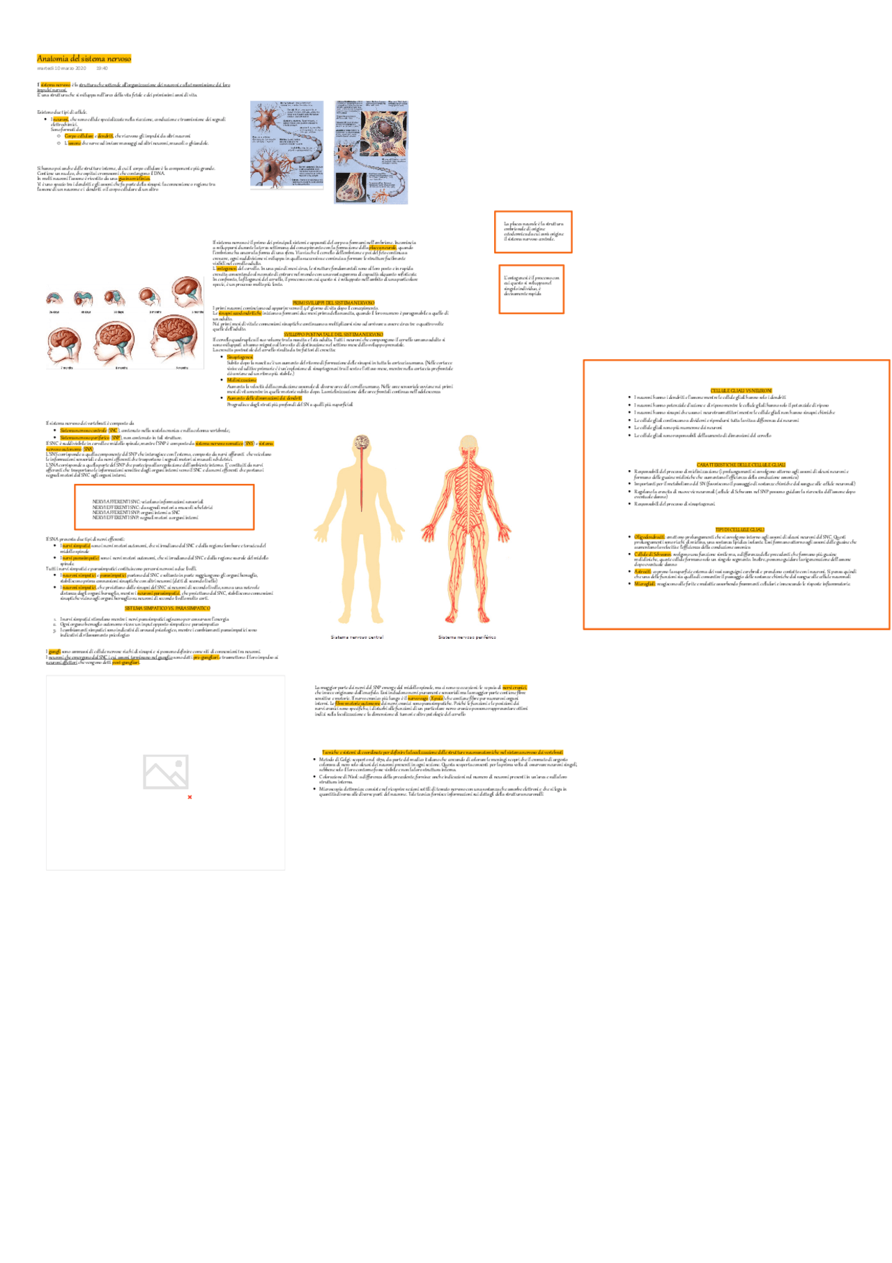 Schemi Di Psicobiologia E Psicologia Fisioologica Docsity