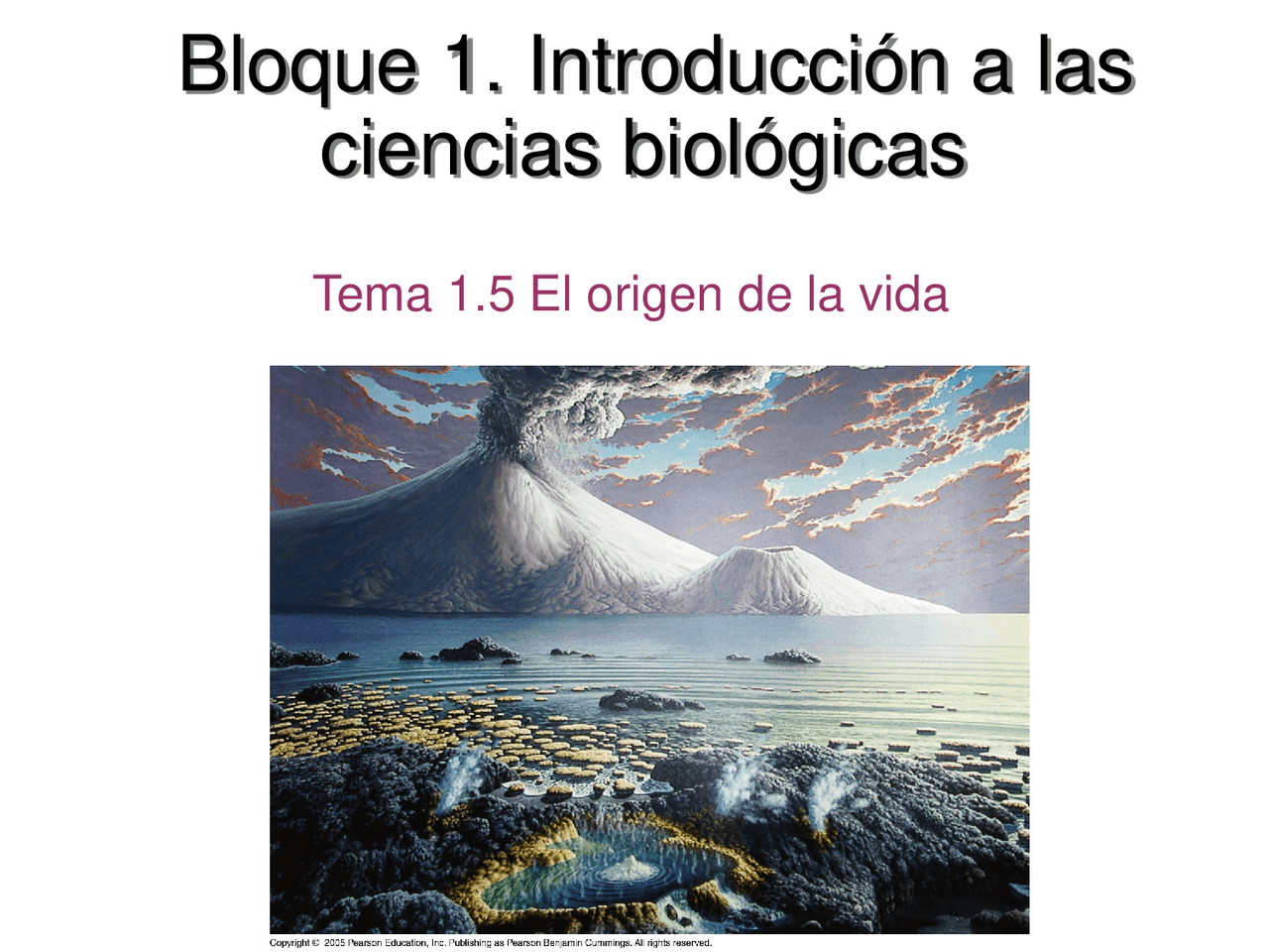 Apuntes Biología Tema 1 Docsity