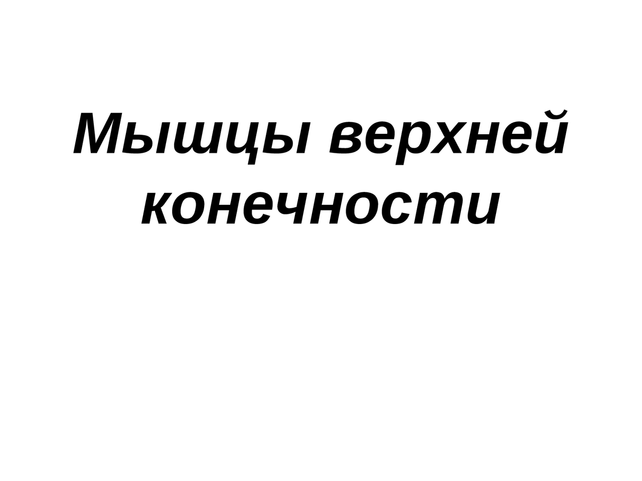 Анатомия человека Мышцы верхних конечностей Docsity