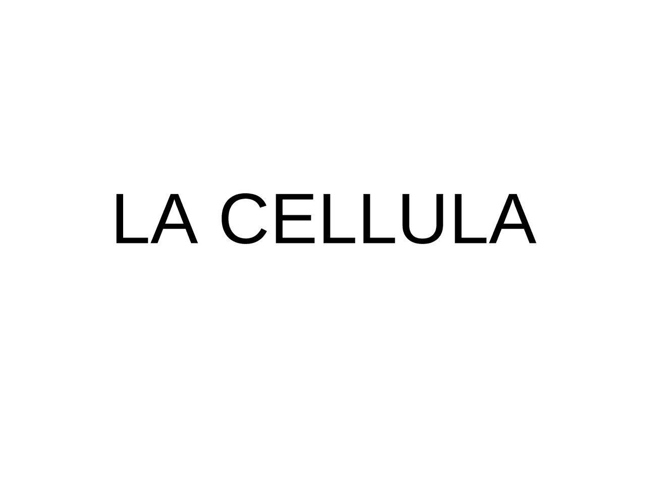 La Cellula E Sintesi Proteica Docsity