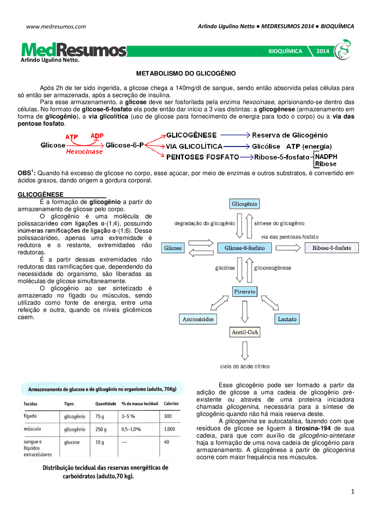 Metabolismo do glicogenio - Bioquímica - Docsity