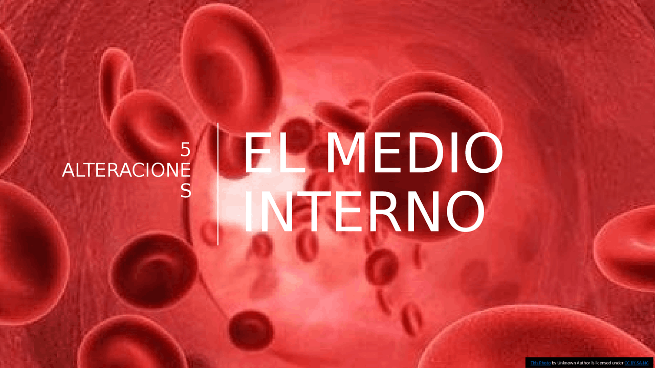 El Medio Interno Diapositivas - Docsity