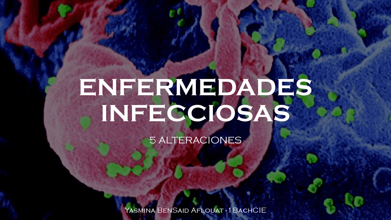 Enfermedades Infecciosas Slides De Anatomia Docsity