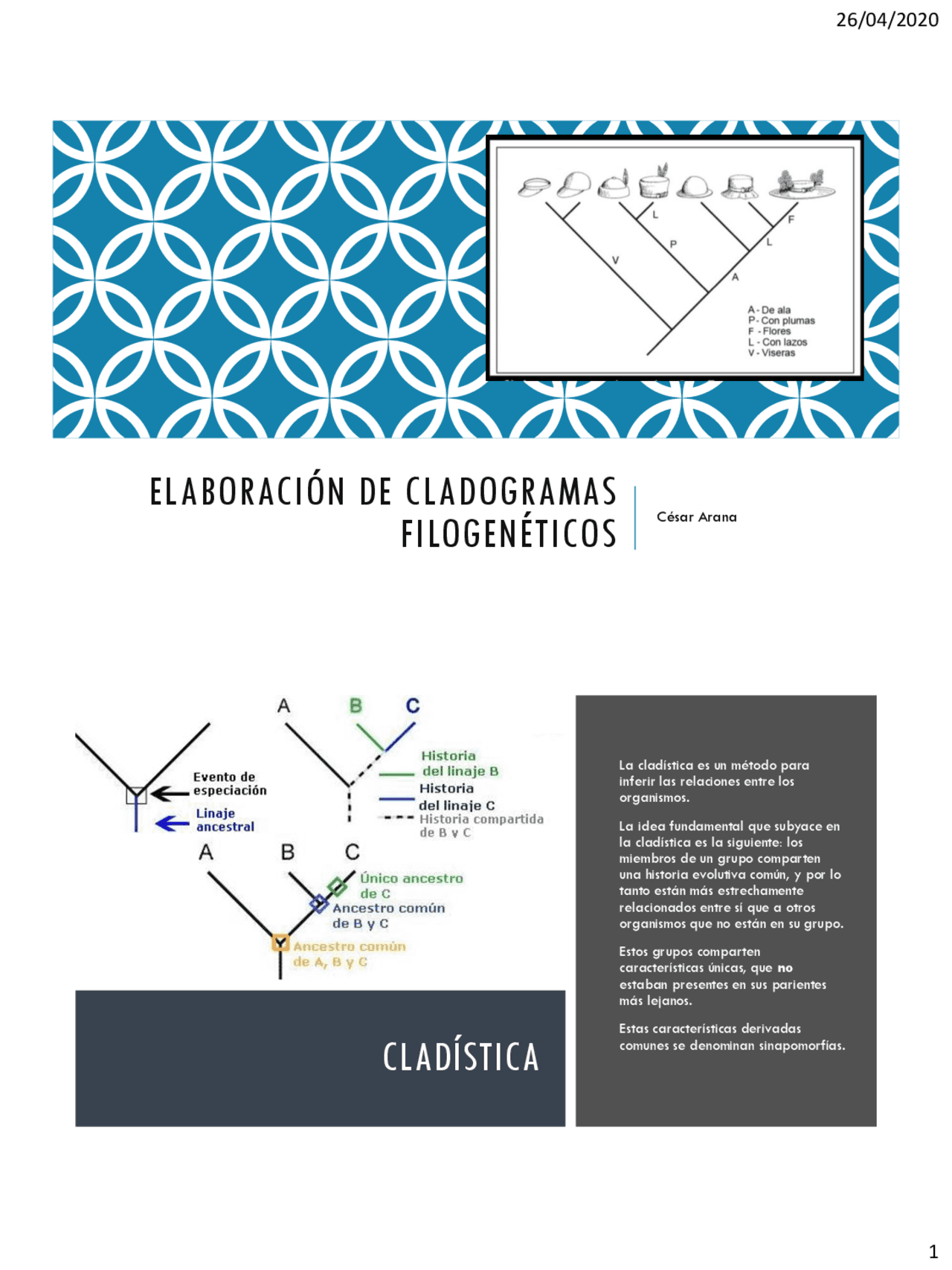CLADOGRAMA : Una herramienta que no s ayuda a comprender la evolución ...
