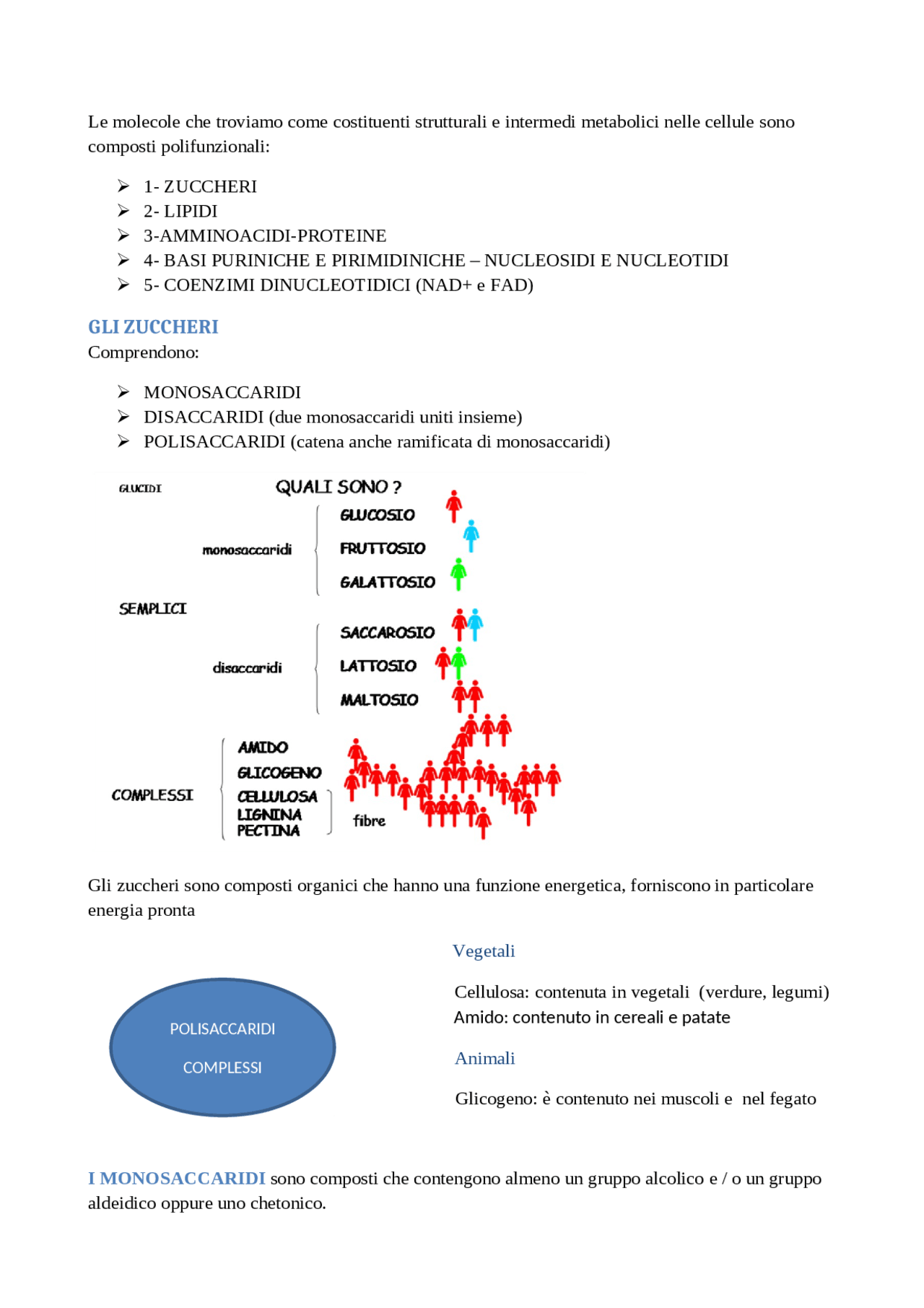 Riassunti Biochimica Docsity
