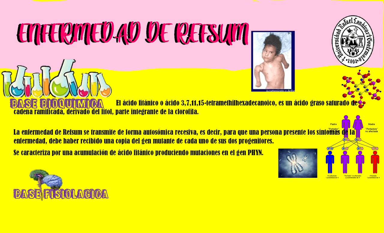 INFOGRAFÍA DE LA ENFERMEDAD DE REFSUM - Docsity