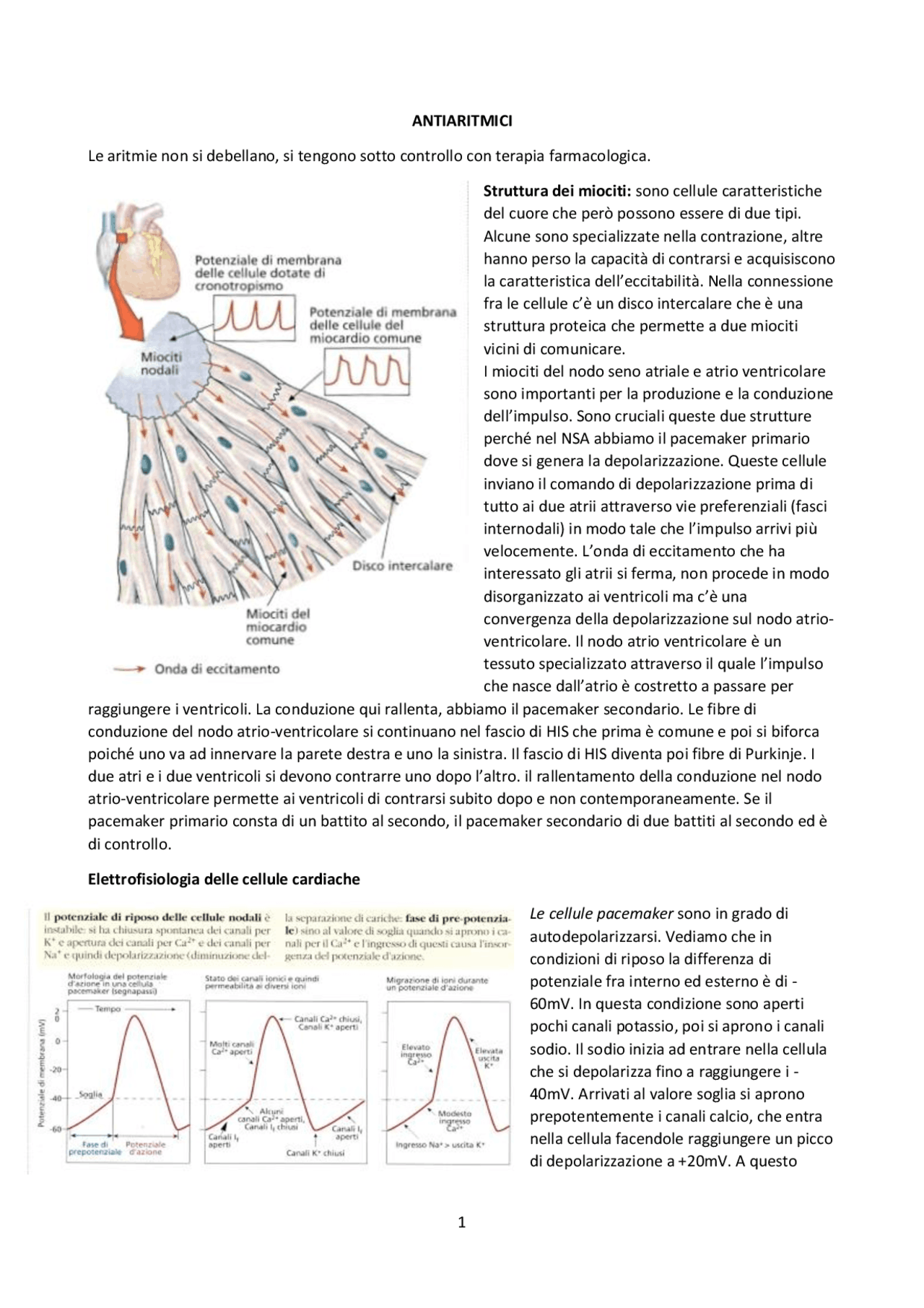 ANTIARITMICI - farmacologia - Docsity