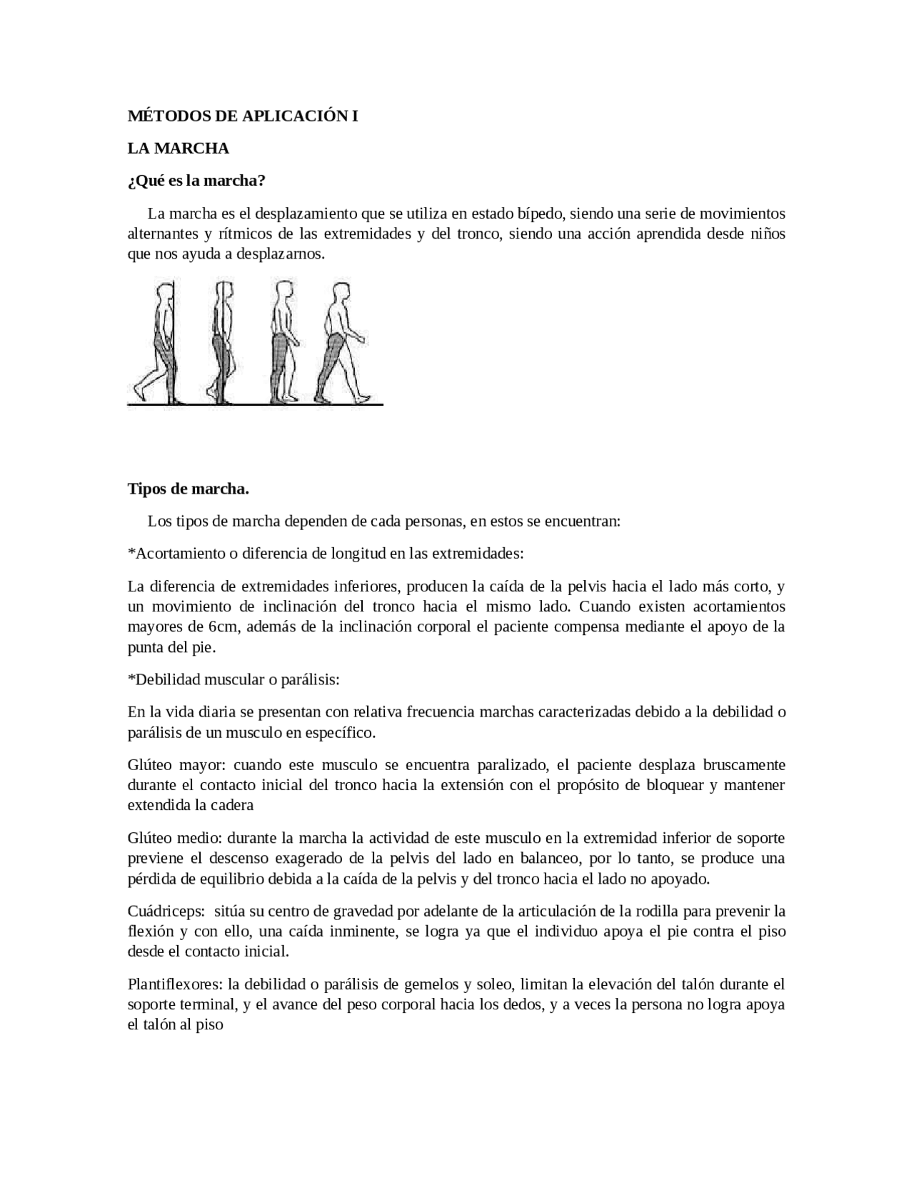 La Marcha Fisioterapia Docsity