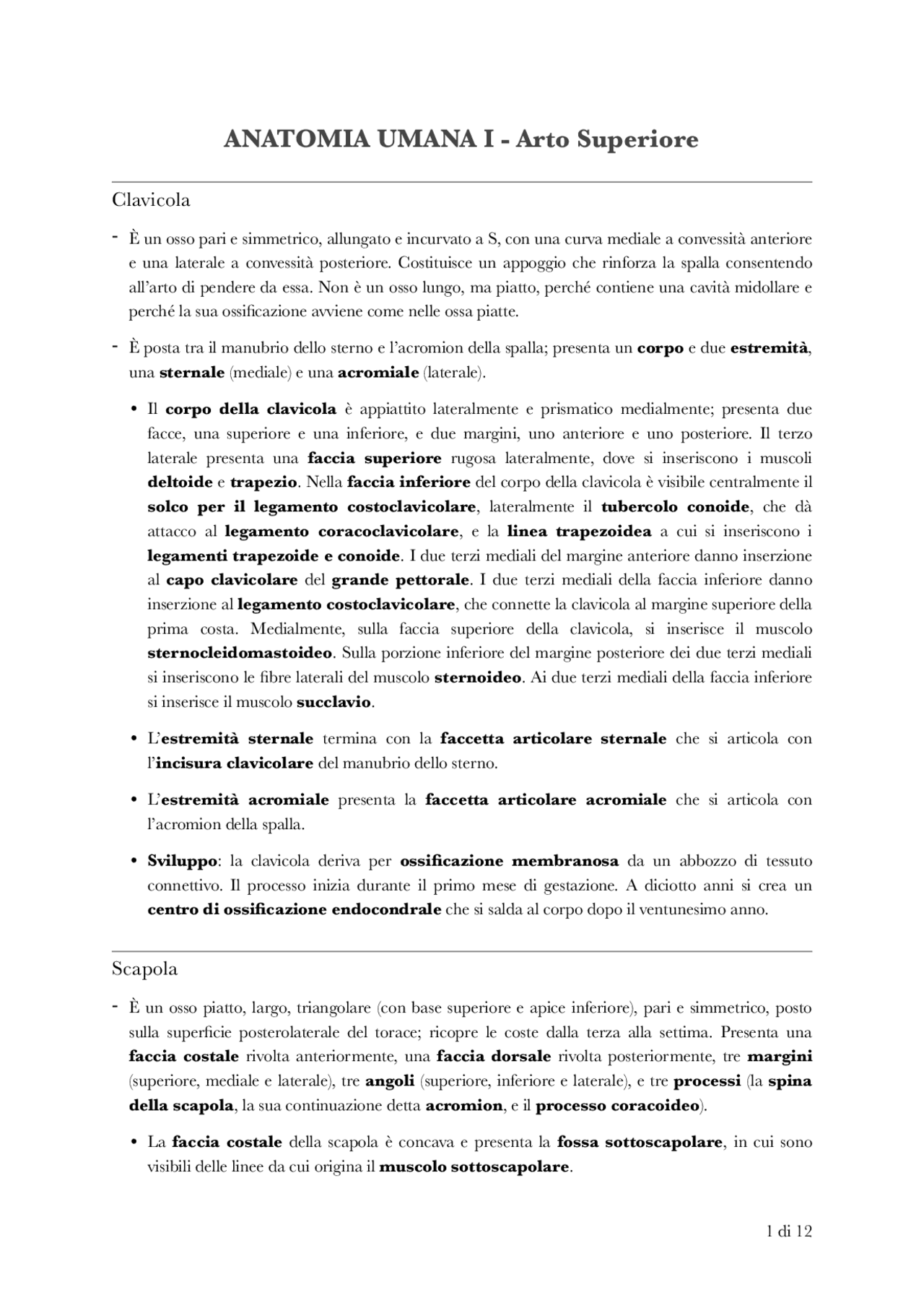 Anatomia Umana I Arto Superiore Docsity