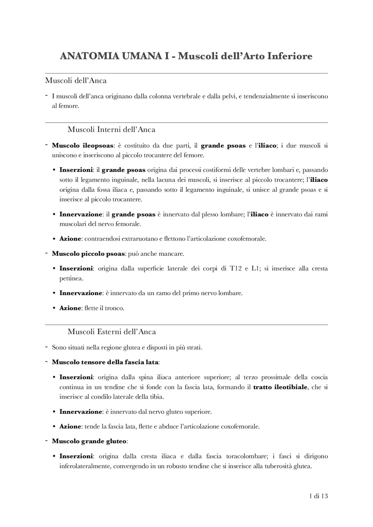 Anatomia Umana I Muscoli Dellarto Inferiore Docsity