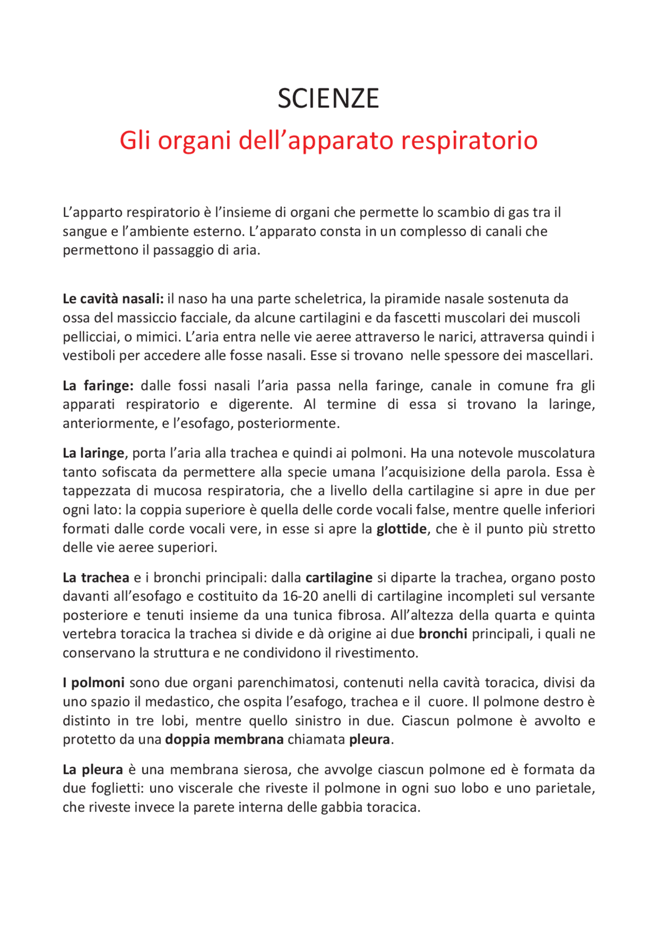 Scienze Apparato Respiratorio Docsity