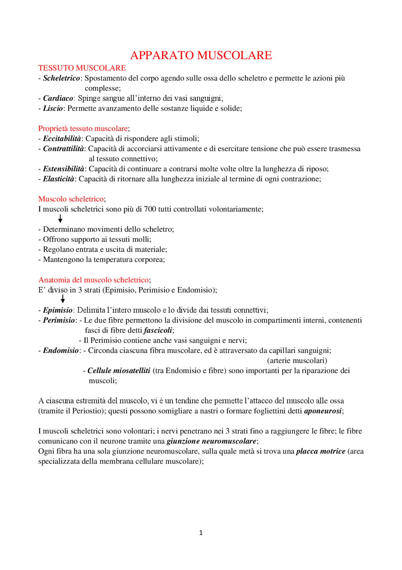 Anatomia Apparato Muscolare Docsity