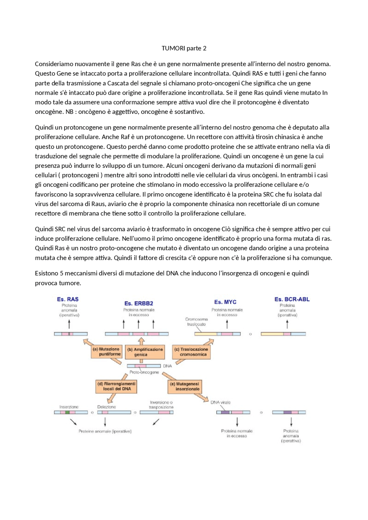 Tumori Oncogeni E Oncosoppressori Docsity