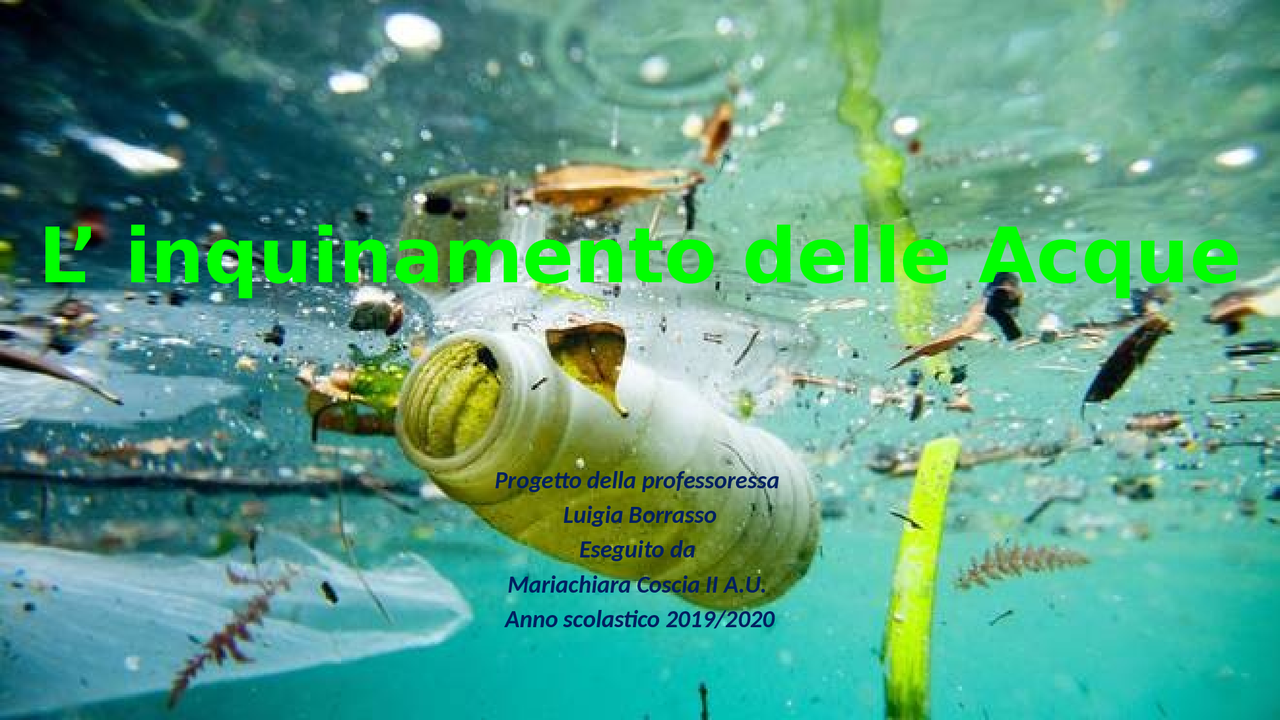 INQUINAMENTO ACQUE power point | Guide, Progetti e Ricerche di Biologia ...