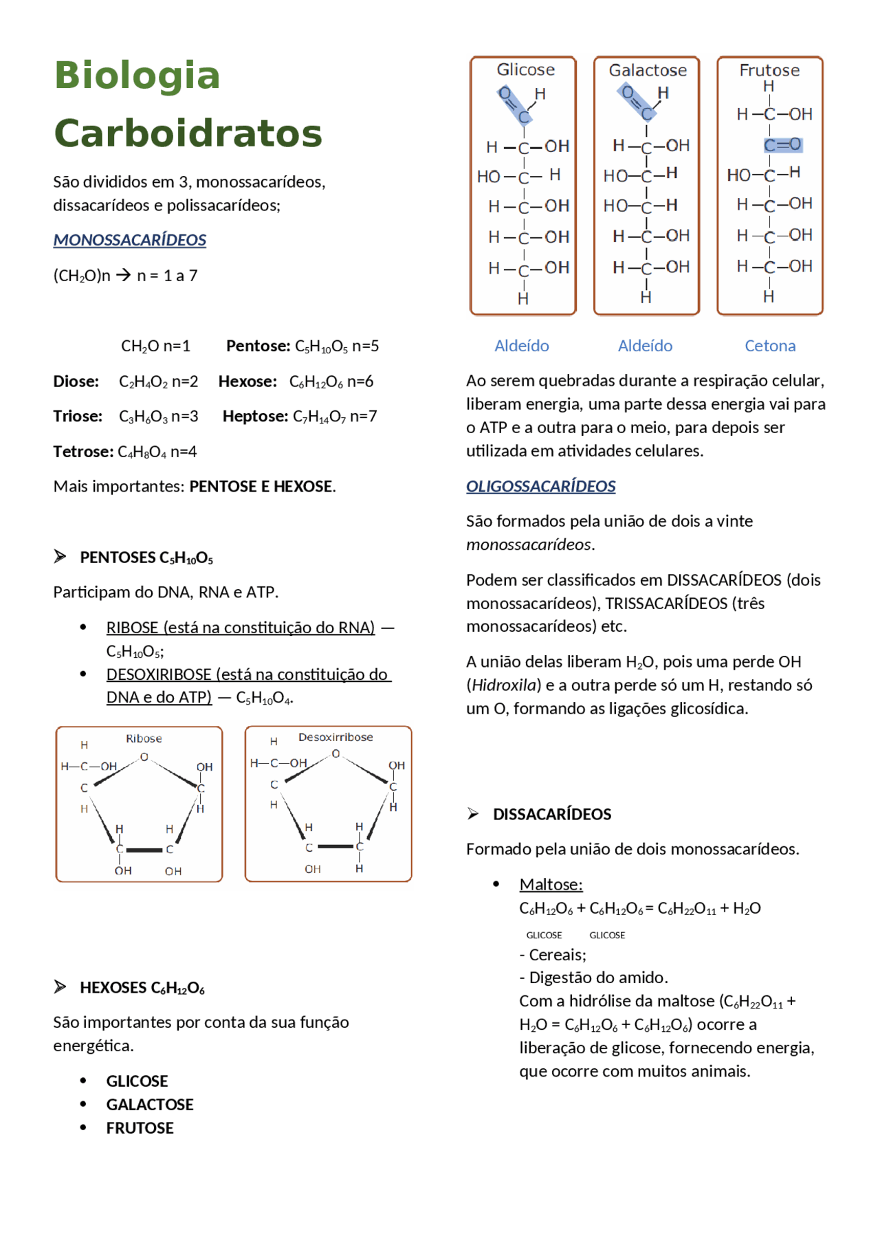 Resumo De Carboidratos Schemi E Mappe Concettuali Biologia Docsity