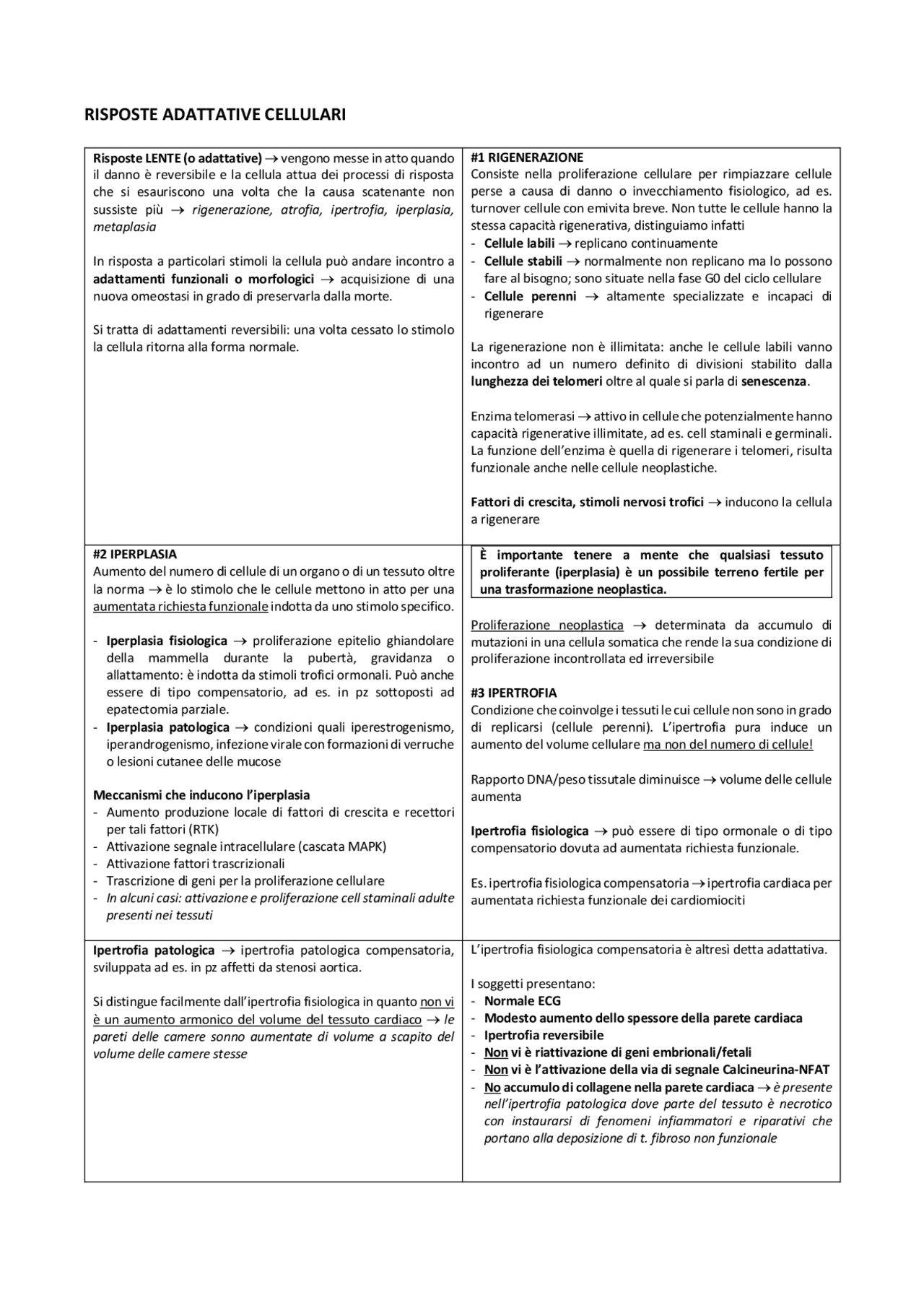 Schemi Patologia Generale Medicina Unipd Schemi E Mappe Concettuali