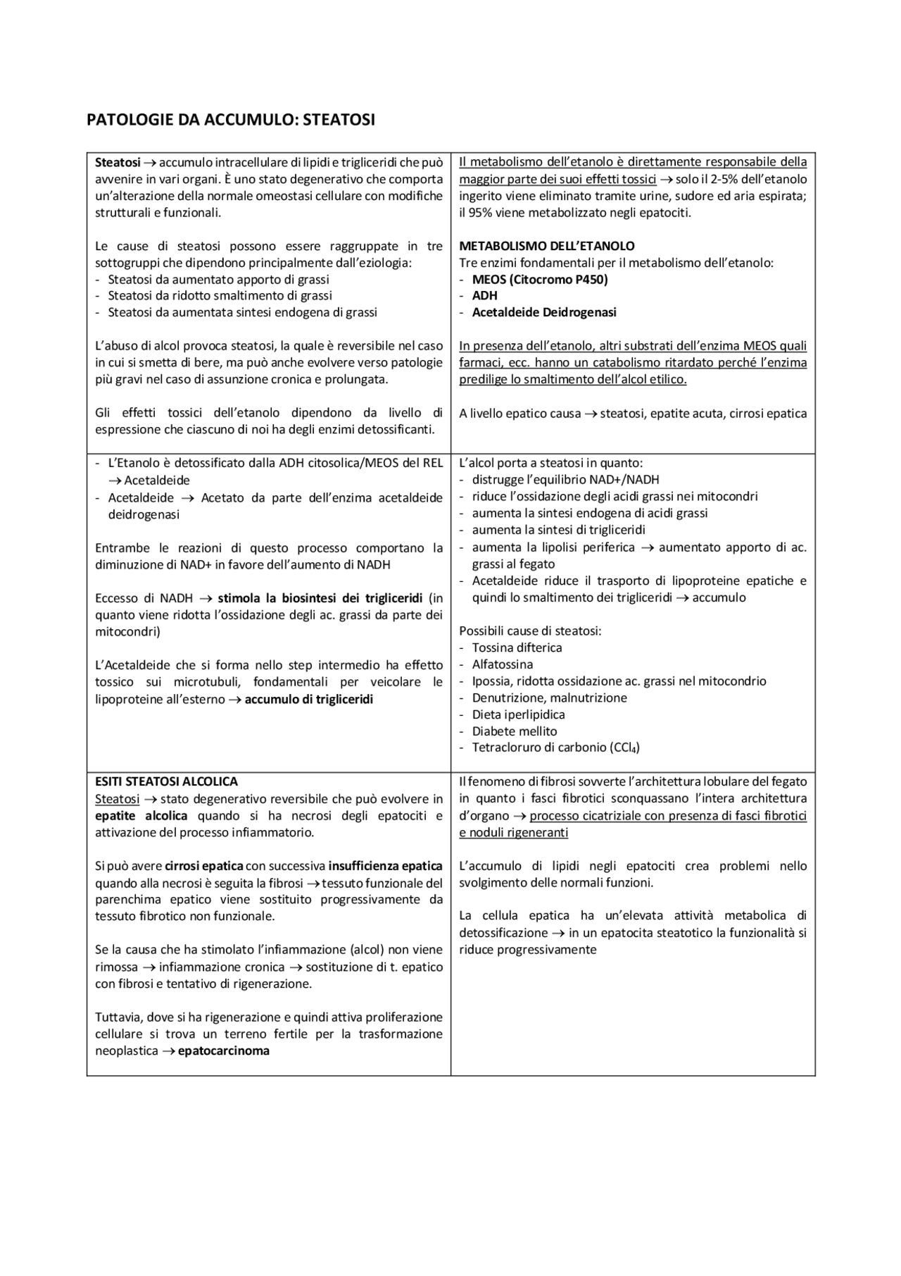 Schemi Patologia Generale Medicina Unipd Docsity