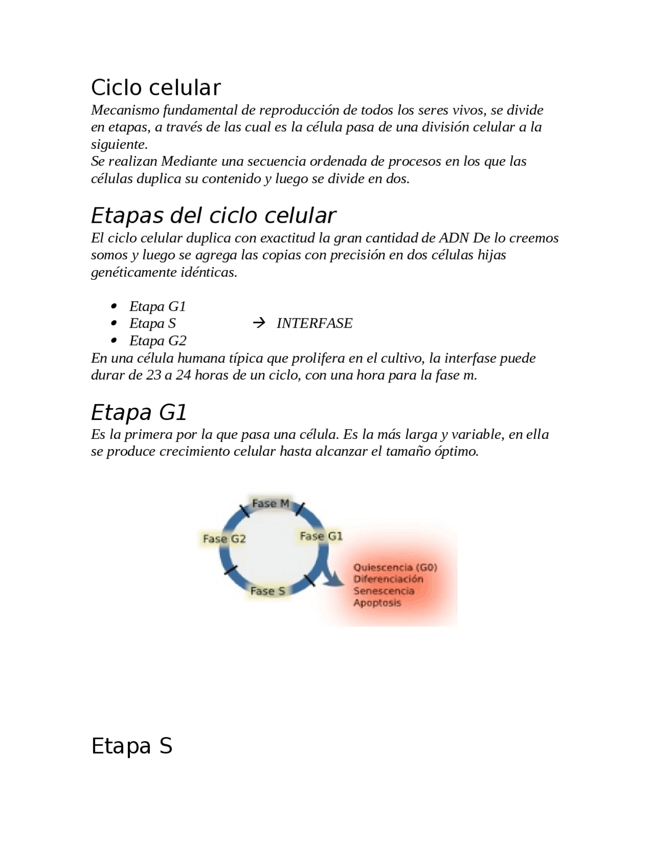 Ciclo Celular Biocel Resumen Resúmenes De Biología Docsity