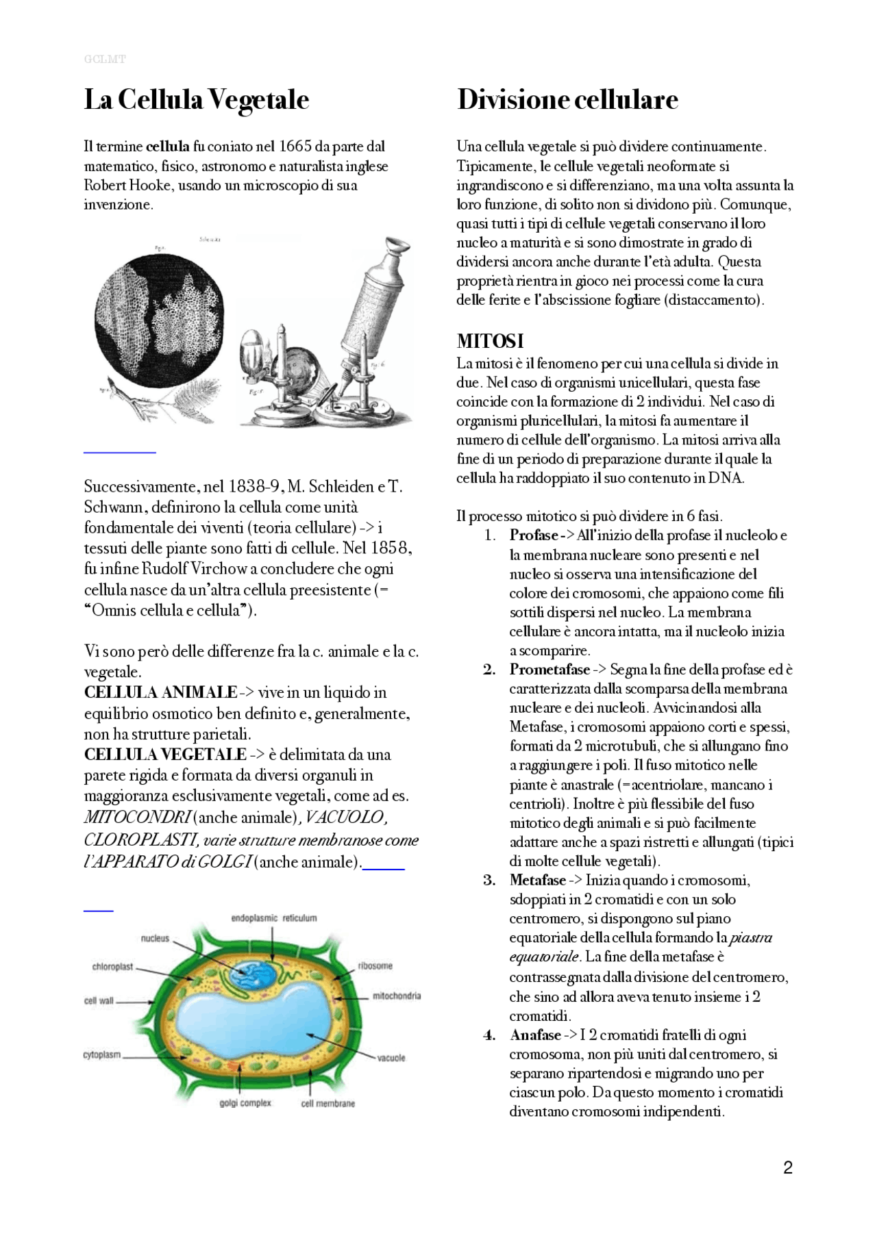 Cellula vegetale: caratteristiche - Docsity