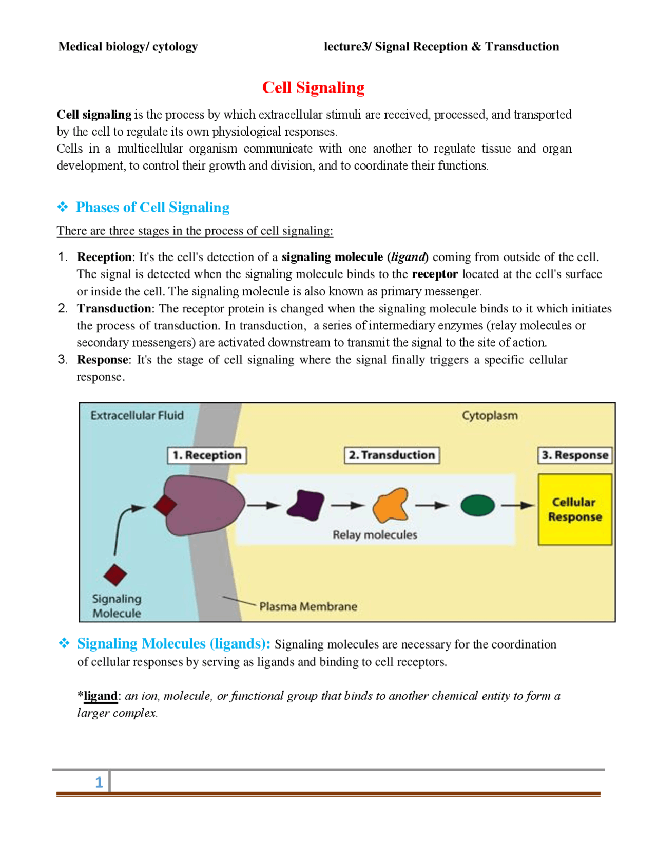 Cell Signaling - Docsity