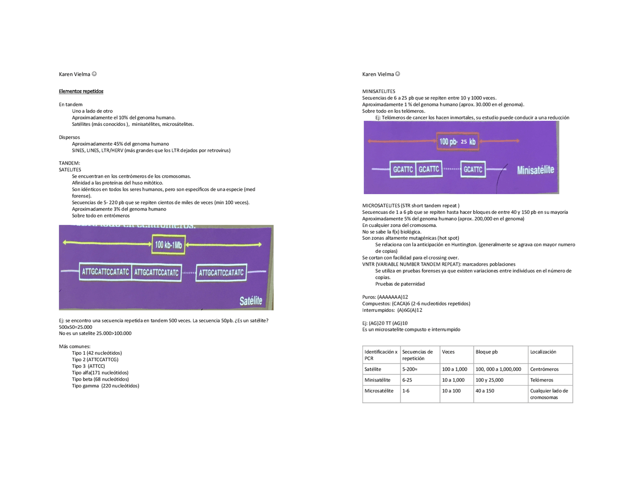 Elementos repetidos en el genoma - Docsity