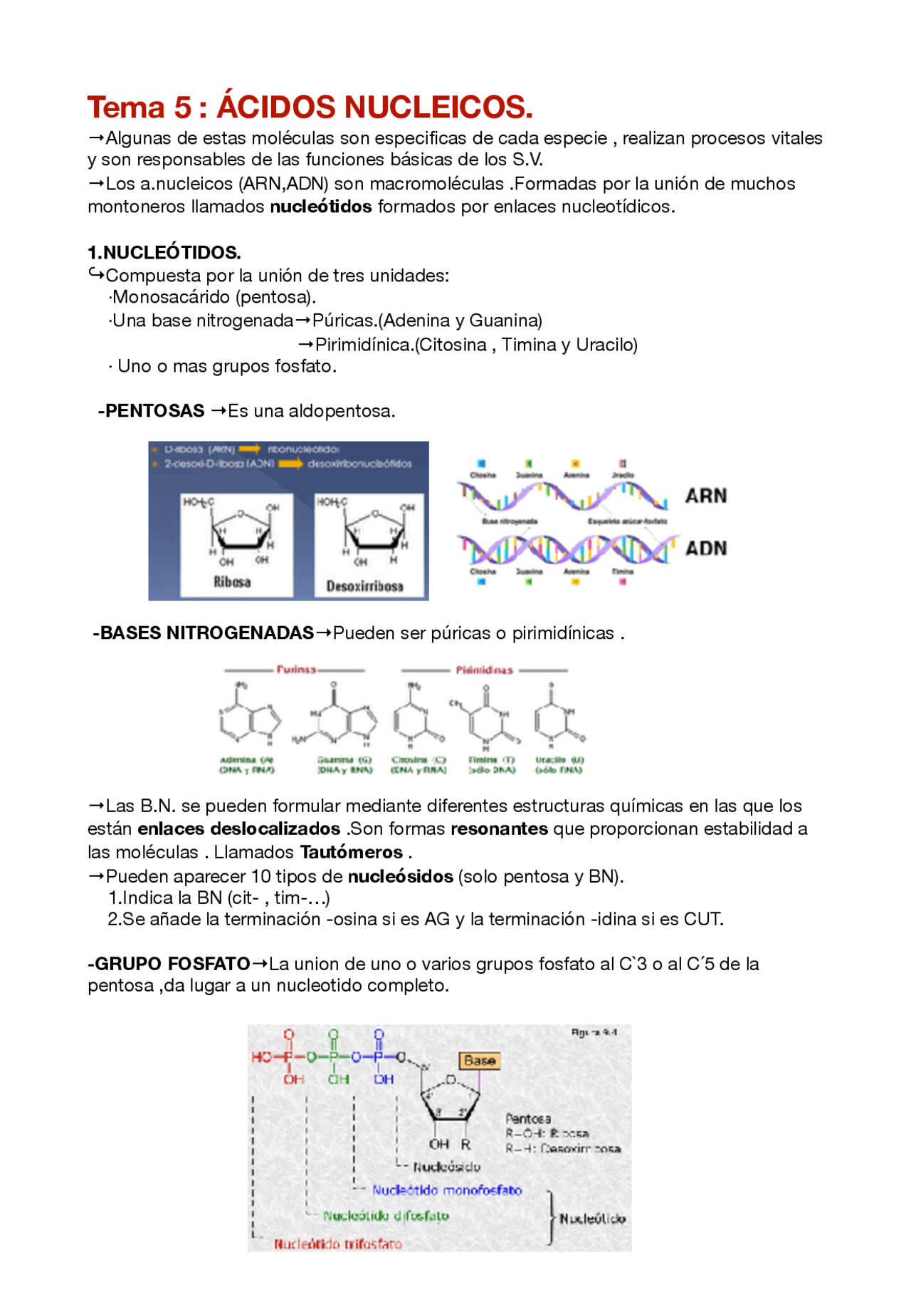 Biología Ácidos Nucleicos Appunti Di Biologia Docsity