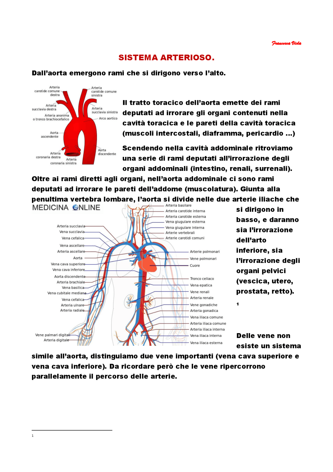 Sistema arterioso. carotide esterna | Sbobinature di Anatomia | Docsity