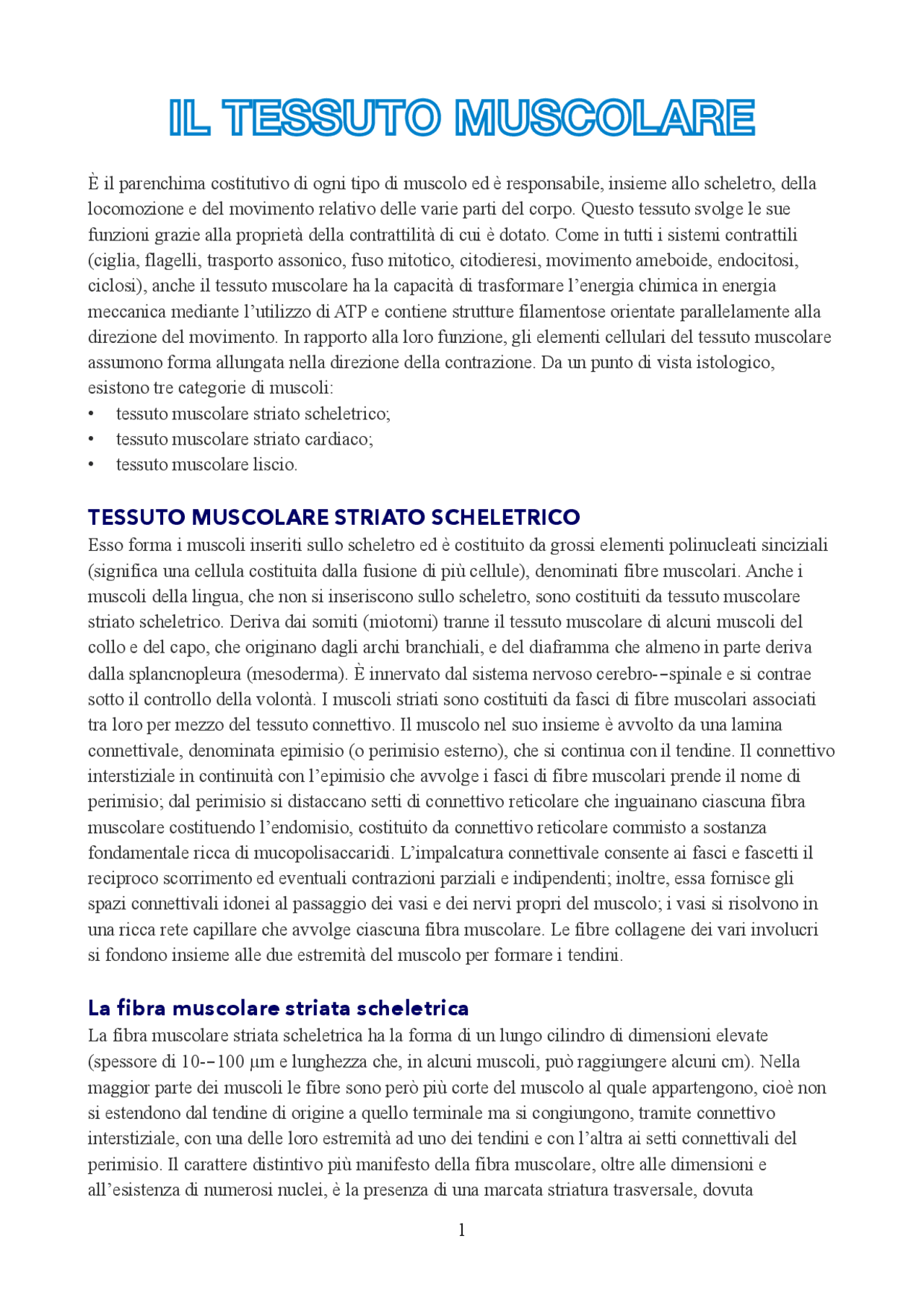 Il Tessuto Muscolare Docsity