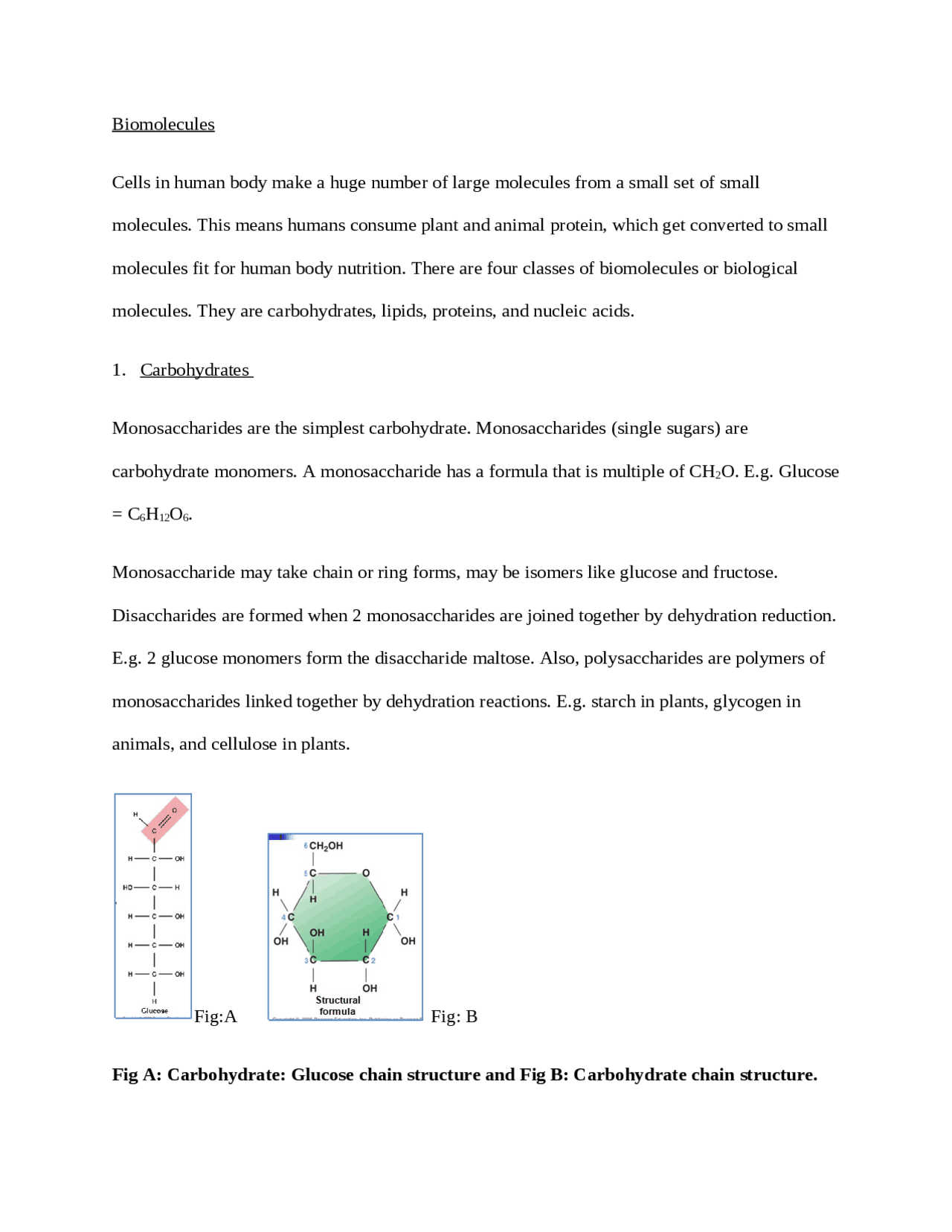 Physiology: Biomolecules of life, Enzymes and Cellular Metabolism ...