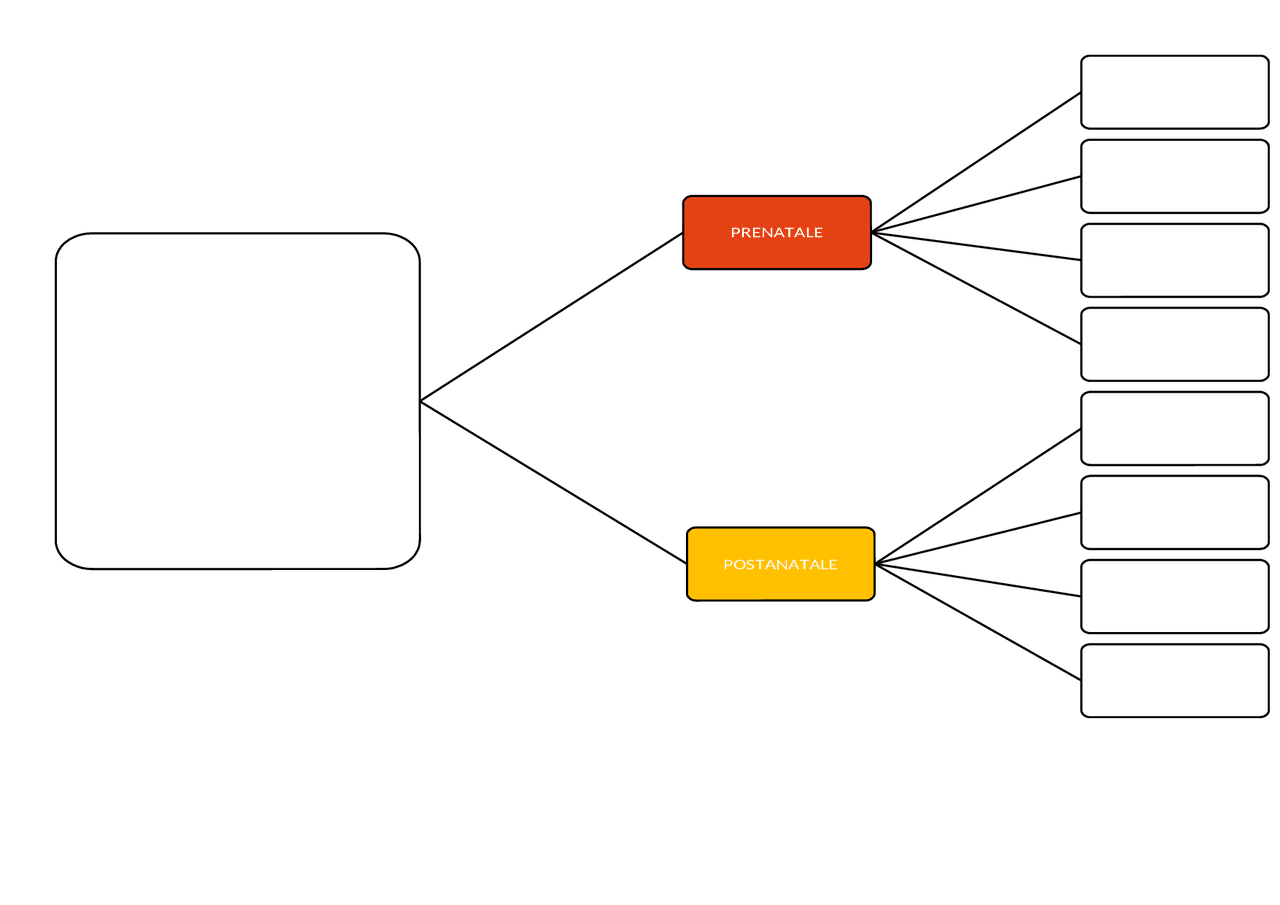 Schema Emopoiesi prenatale e postnatale - Docsity