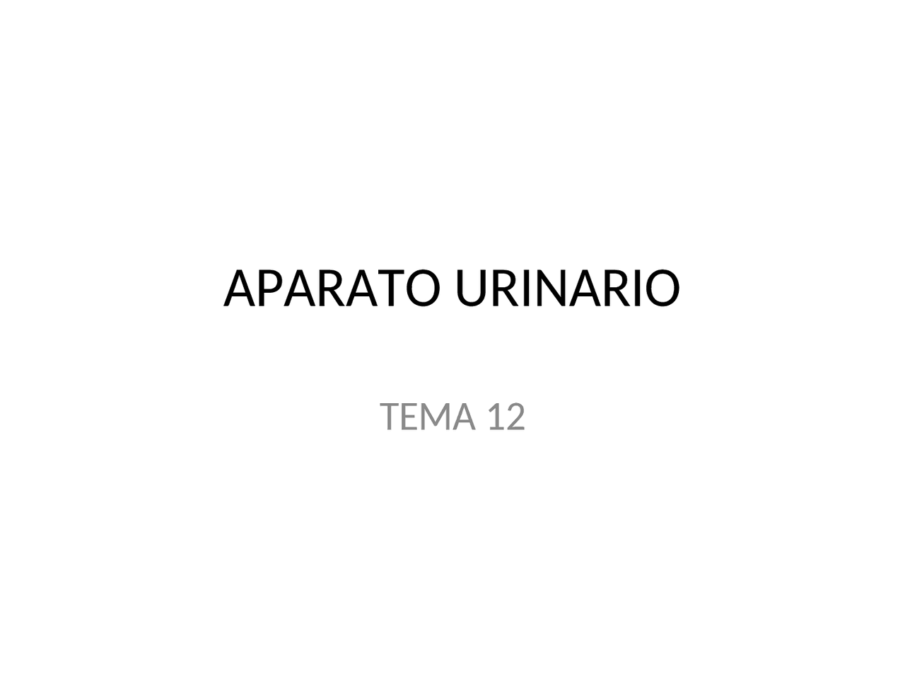 Aparato Urinario En Diapositivas Slides De Anatomia Docsity