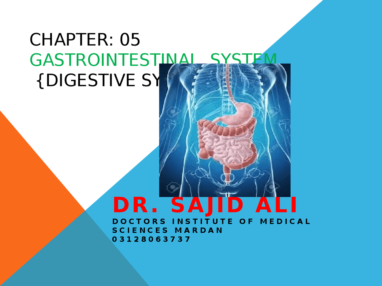 Anatomy Of Digestive System Docsity