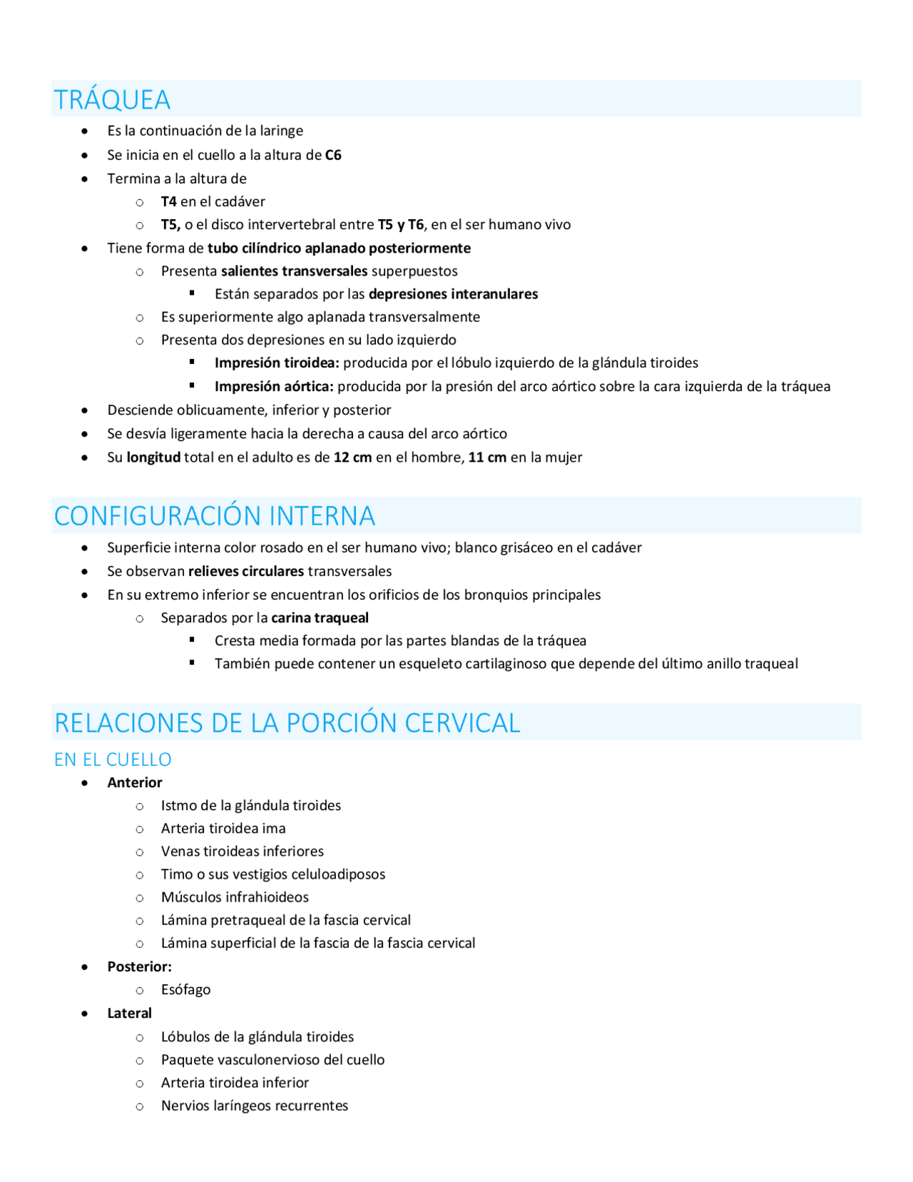 Resumen De Tráquea Y Bronquios Docsity