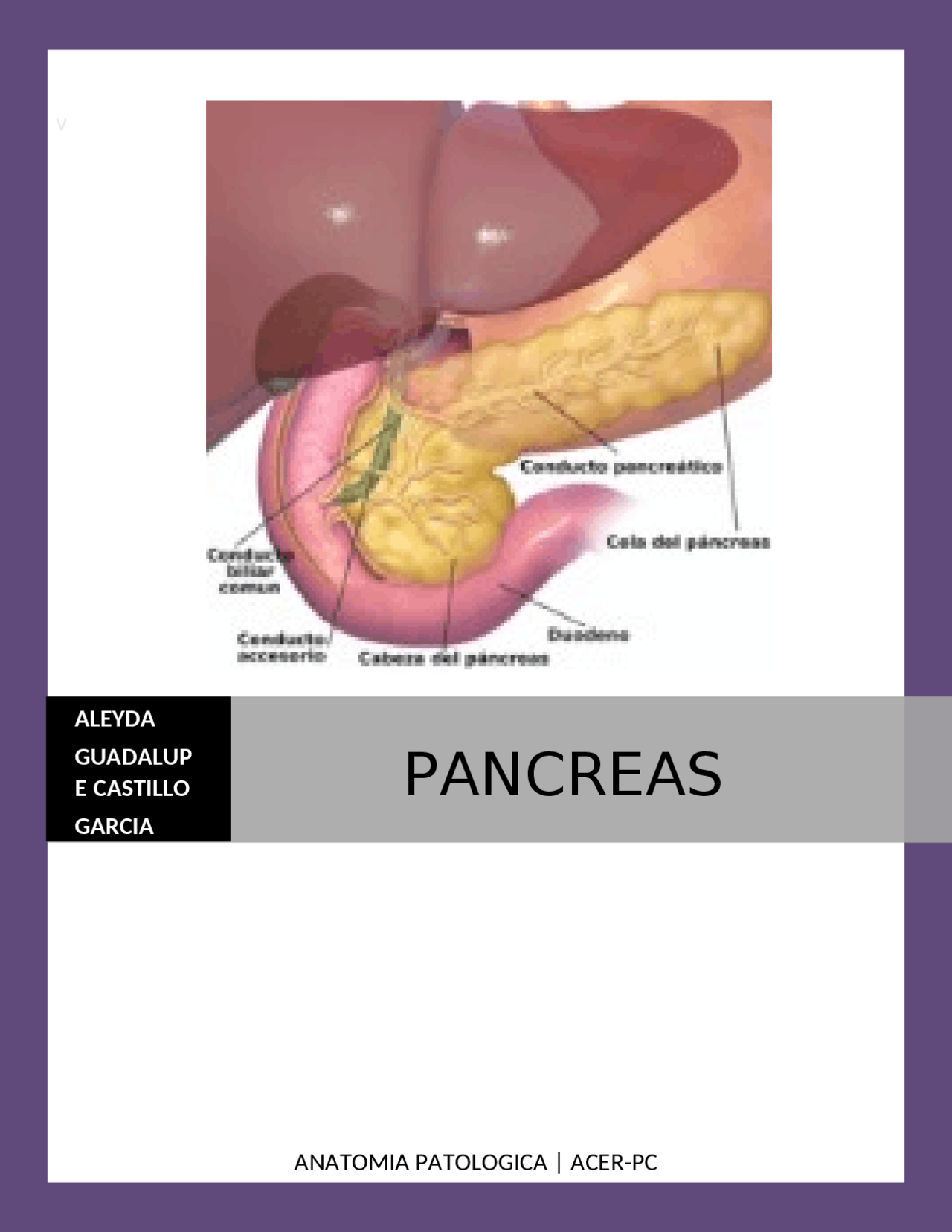 ANATOMIA Y FISIOLOGIA DEL PANCREAS - Docsity