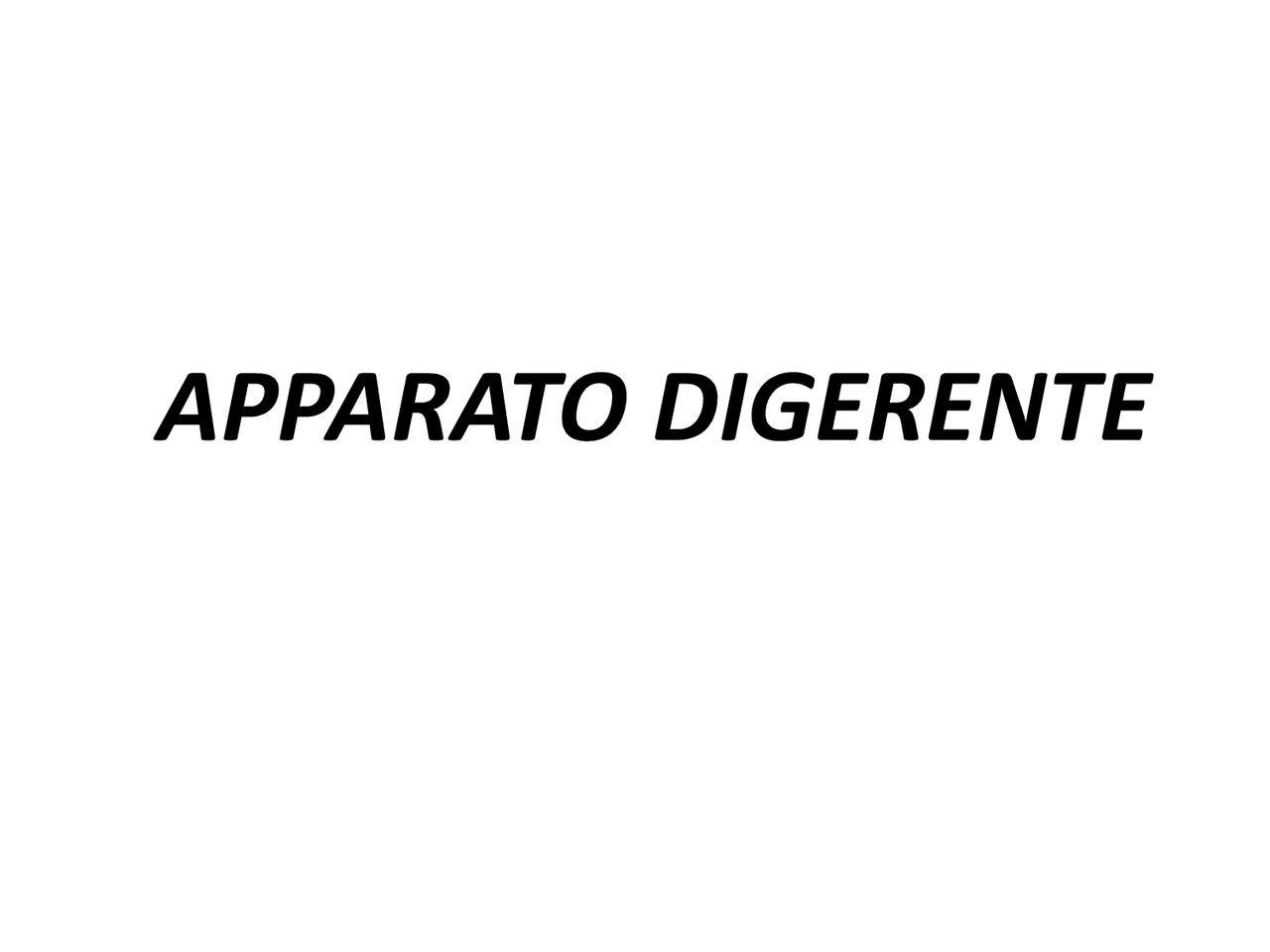 Apparato Digerente Parte I Slide Di Fisiologia Docsity