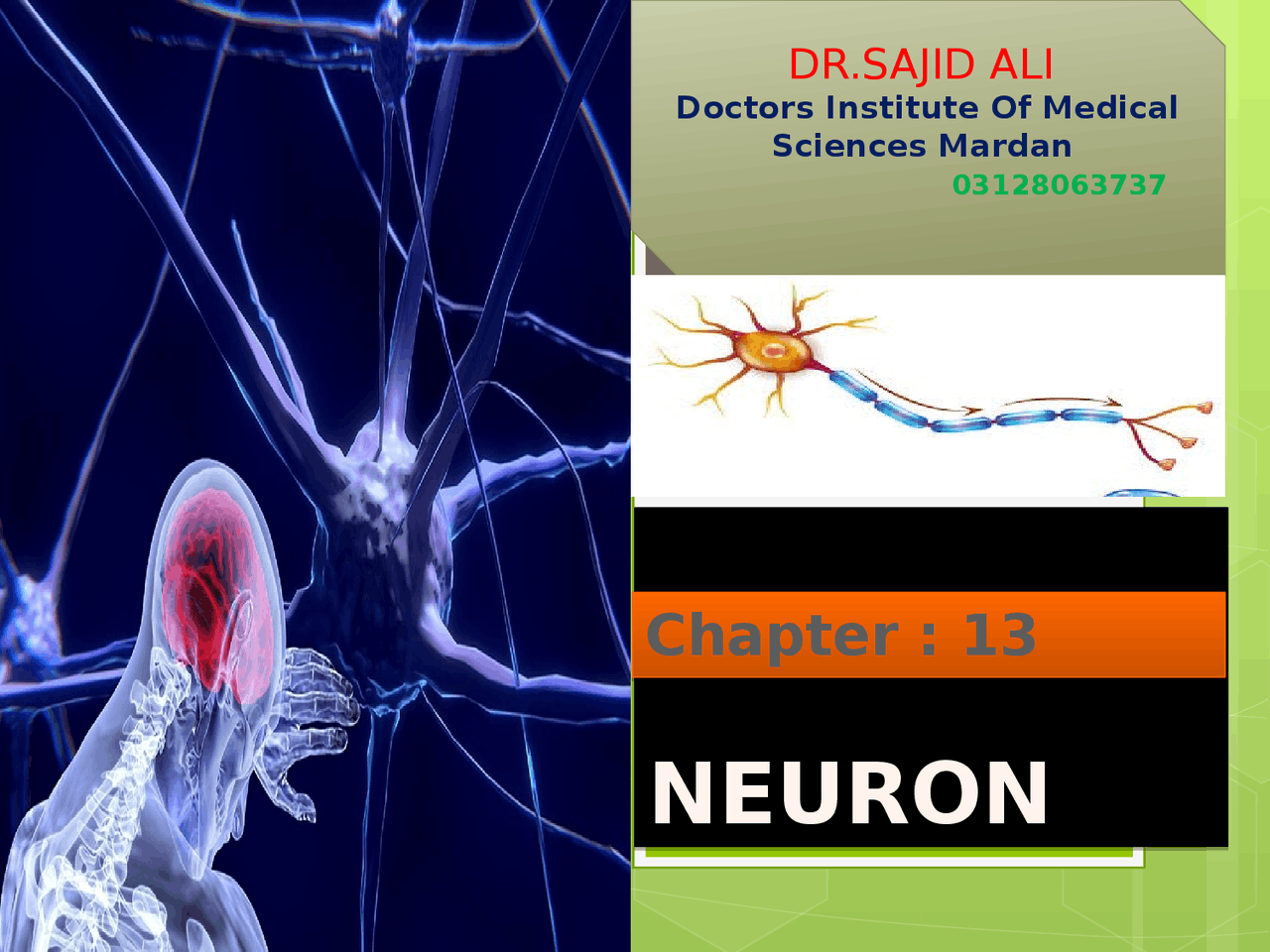 Neuron anatomy and types | Exams Neuroanatomy | Docsity