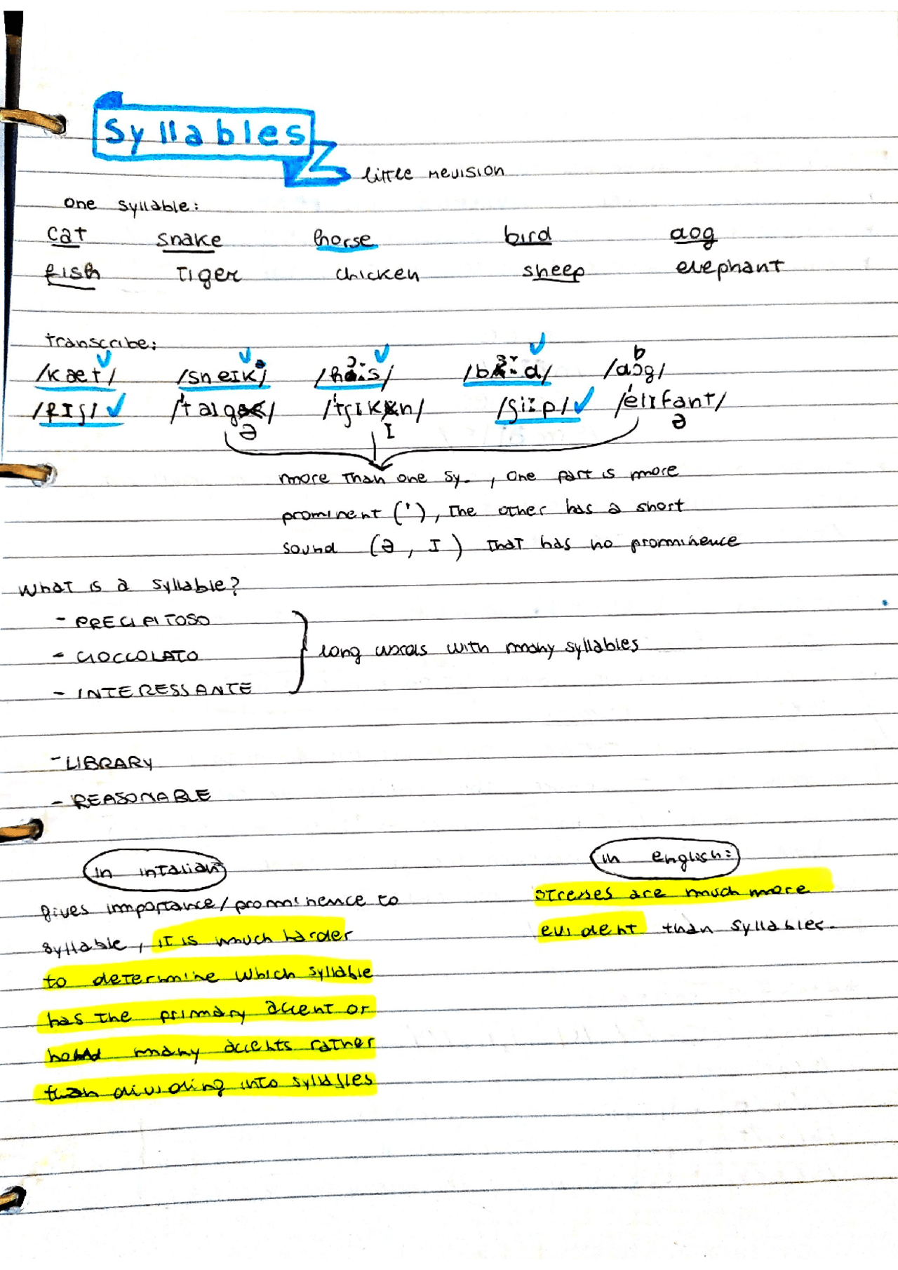 Appunti English Phonology Prof Newbold Parte 2 Docsity
