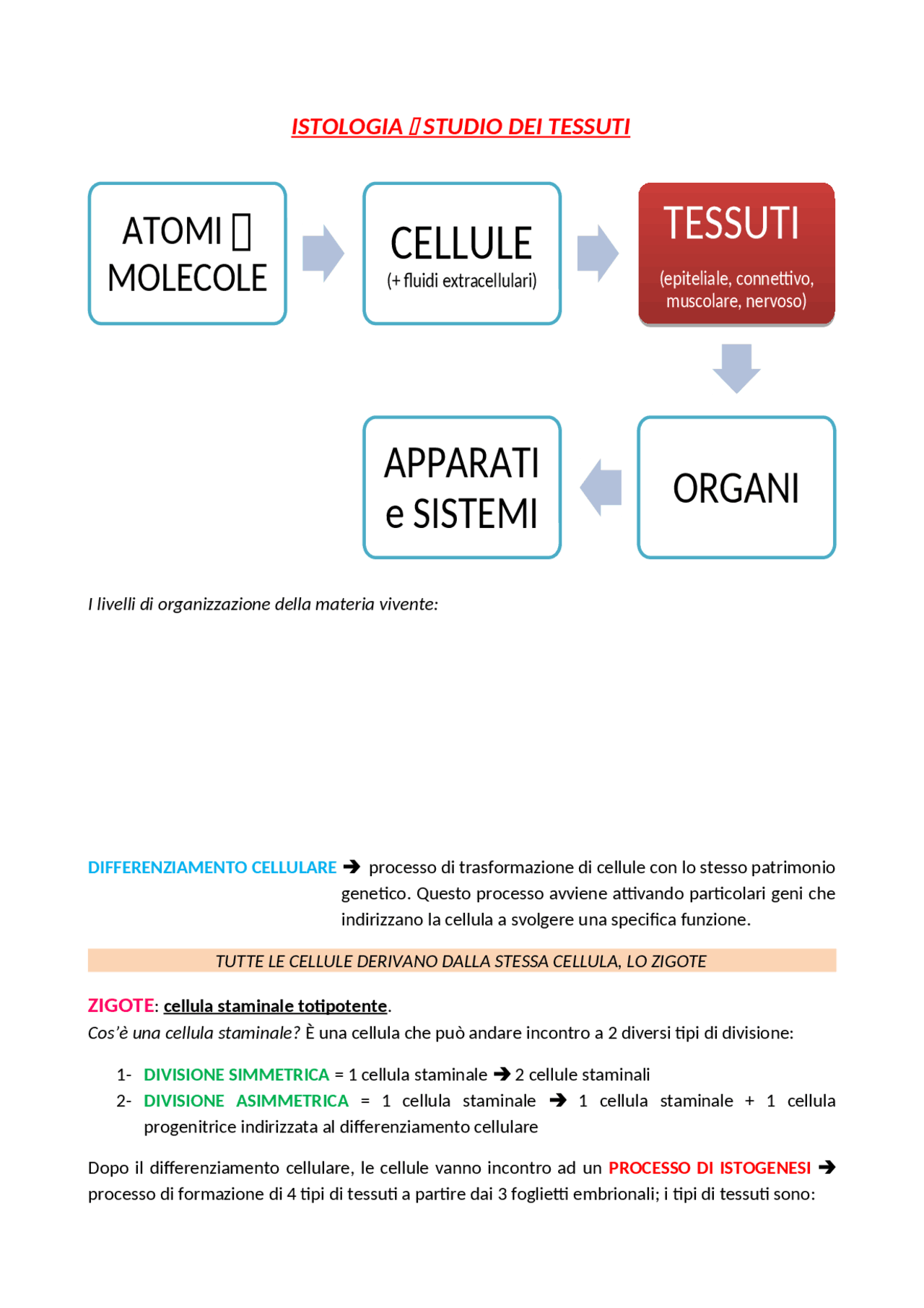 Appunti Completi Di Istologia Docsity