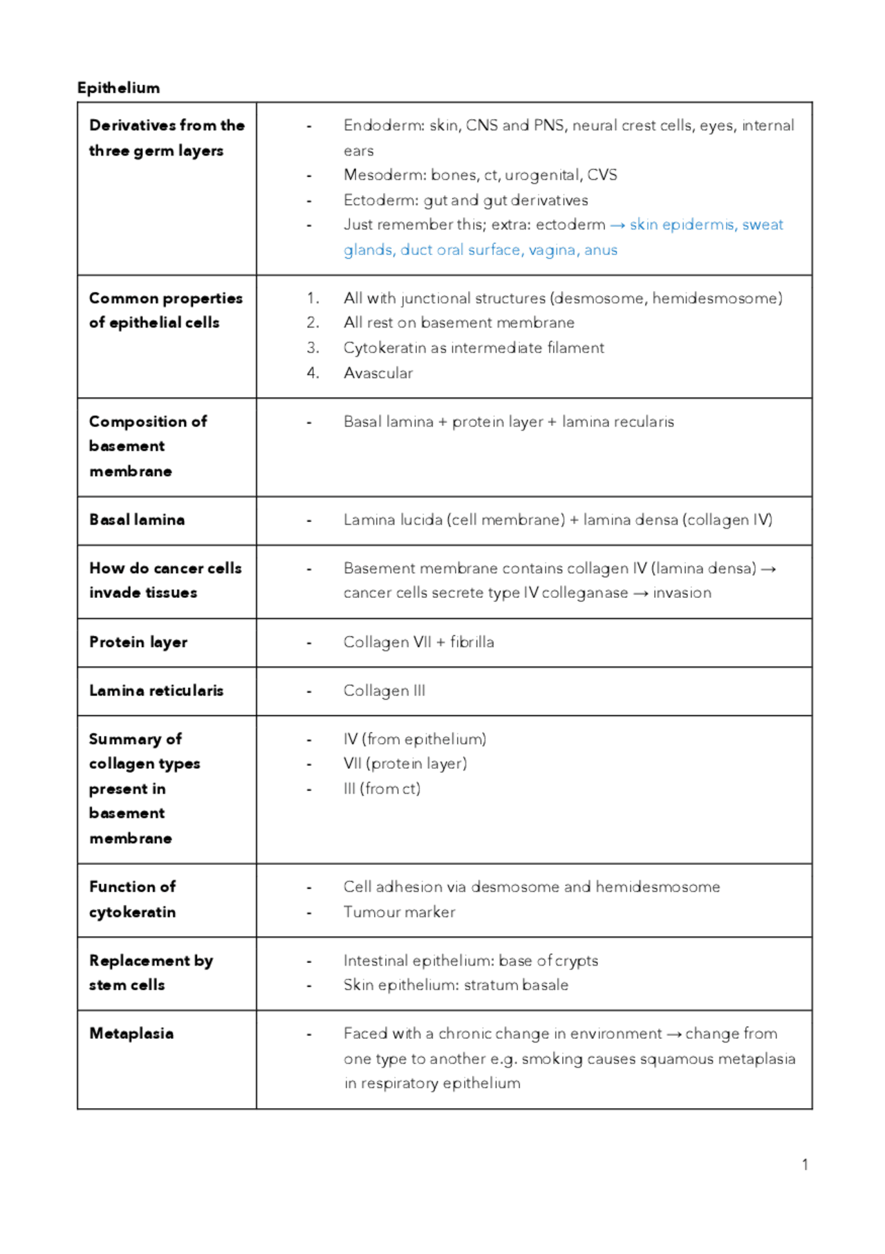 Year 1 revision sheet - Docsity