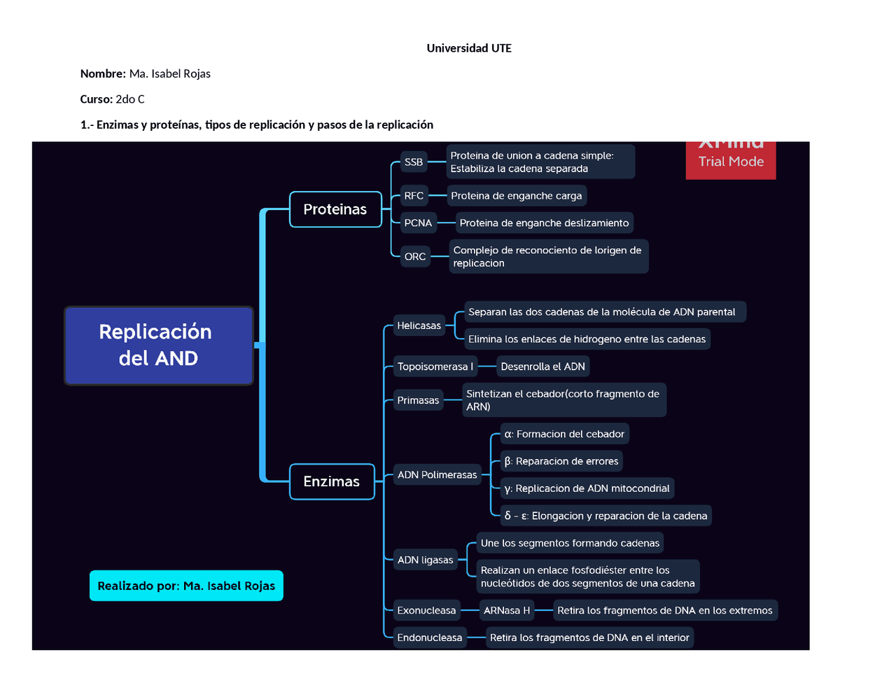 Replicacion ADN : enzimas, tipos, proceso | Esquemas y mapas conceptuales de Biología Molecular ...