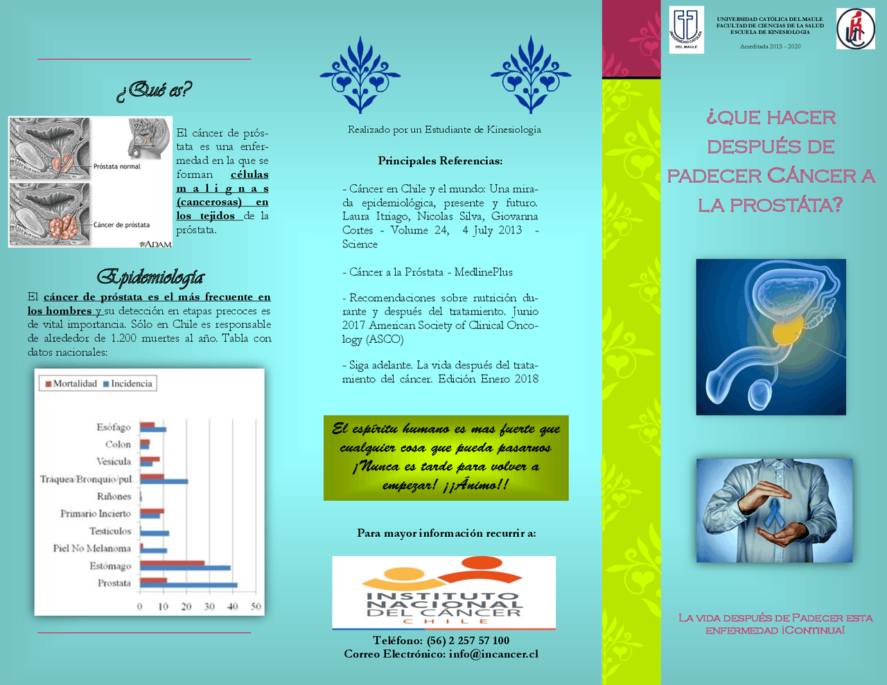Tríptico de Cáncer de Próstata | Esquemas y mapas conceptuales de ...