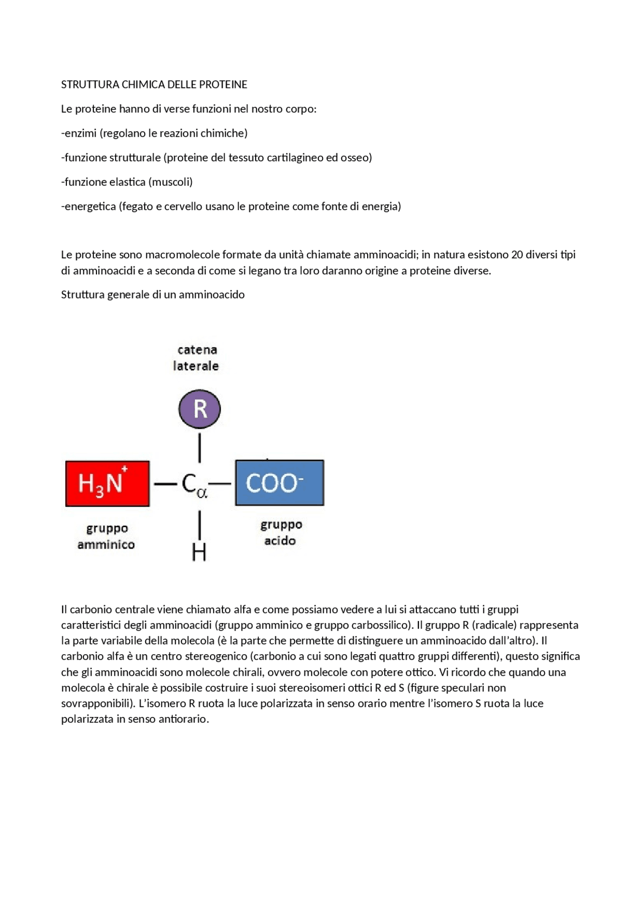 Struttura Chimica Proteine Docsity