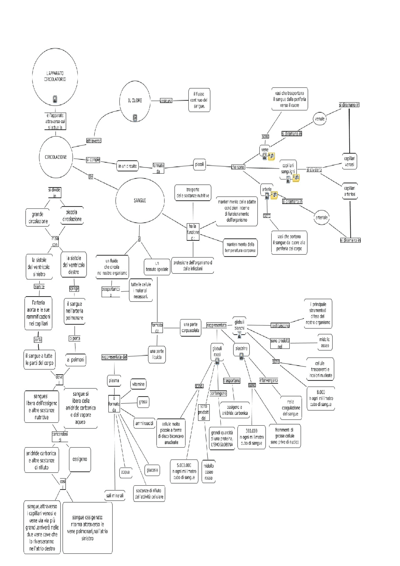 Mappe concettuali relative all'anatomia e fisiologia del corpo umano ...